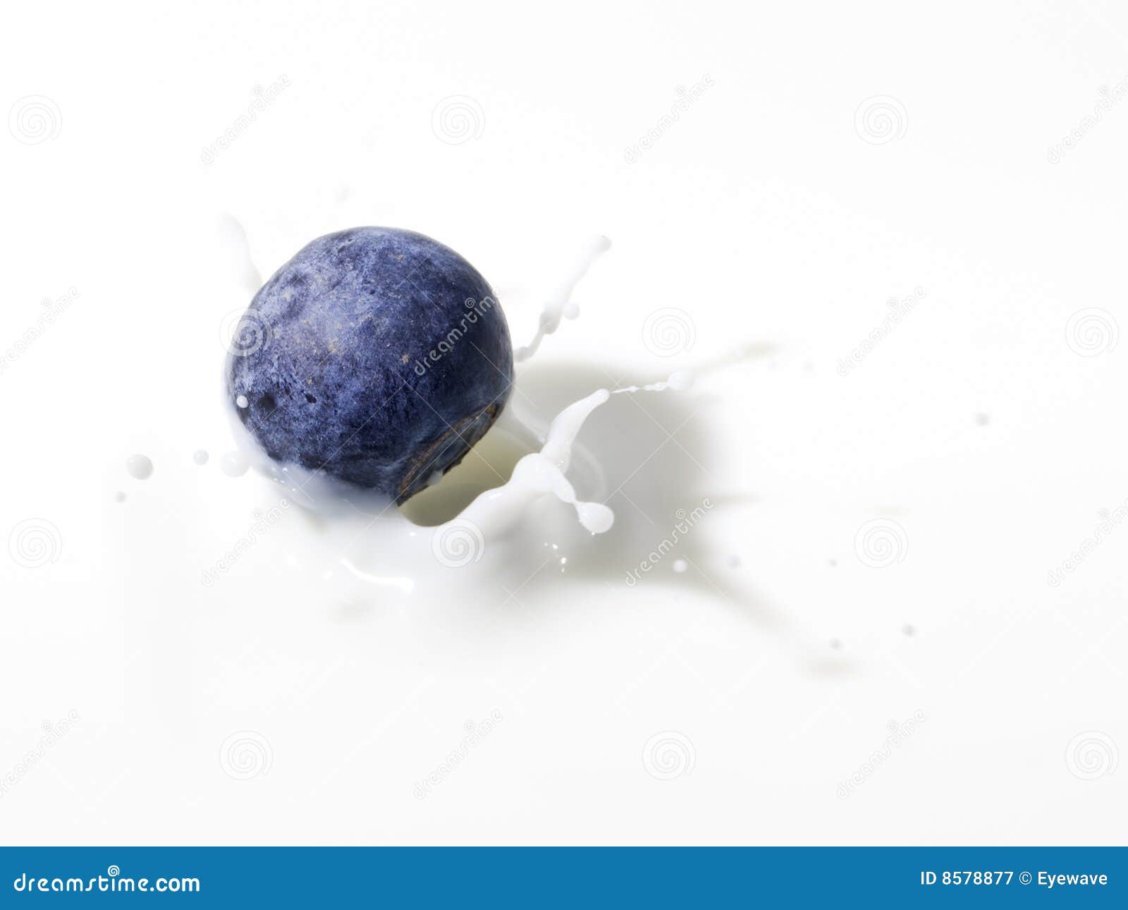 Blueberry splash stock image. Image of milk, macro, food - 8578877