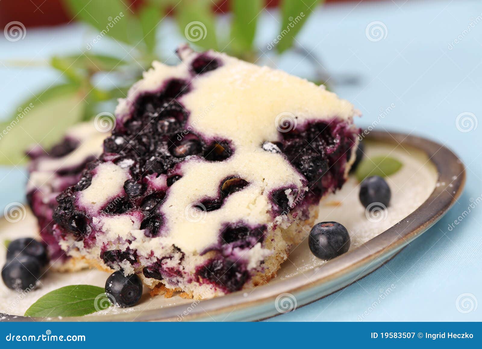 Blueberry sponge cake stock image. Image of delicious - 19583507