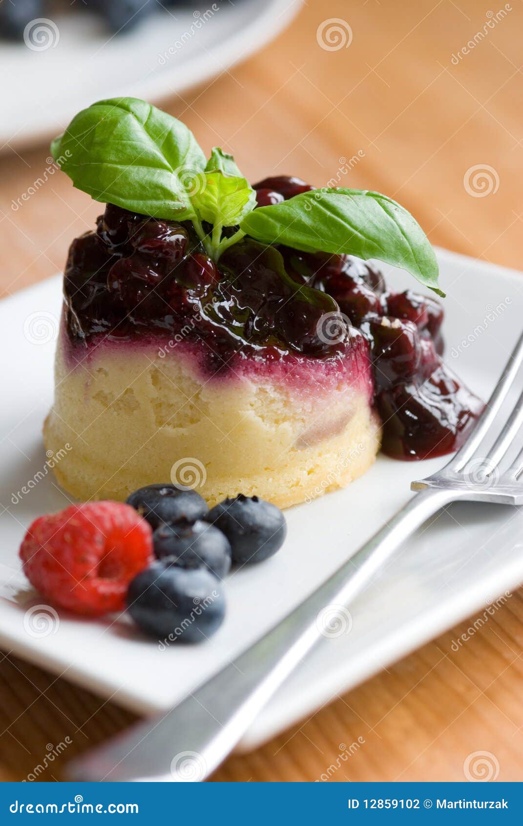 Blueberry sponge pudding stock photo. Image of delicacy - 12859102
