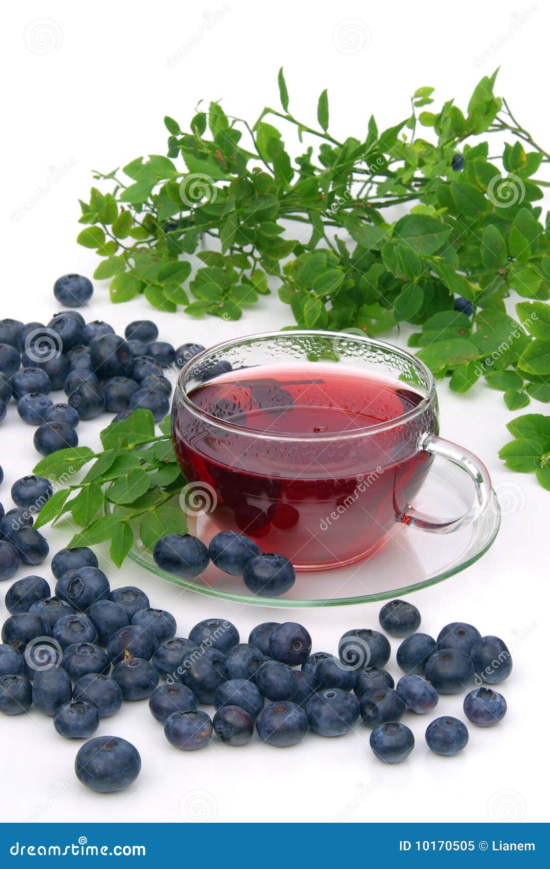 Blueberry tea stock image. Image of glass, common, leaves - 10170505