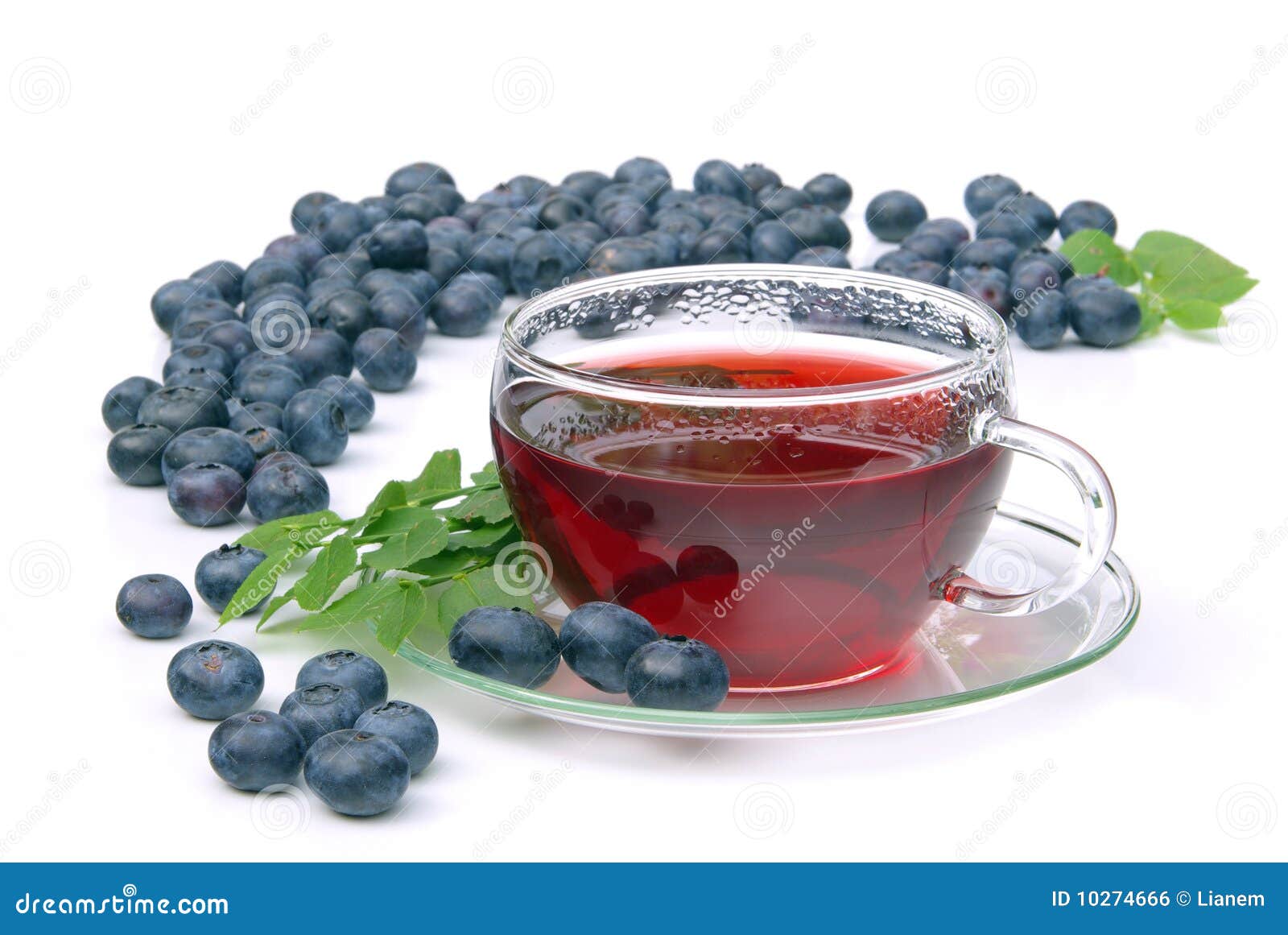 Blueberry tea stock photo. Image of healthy, infusion - 10274666