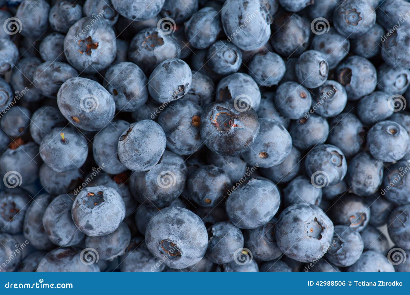 Blueberry Texture Background Stock Photo - Image of eating, desk: 42988506