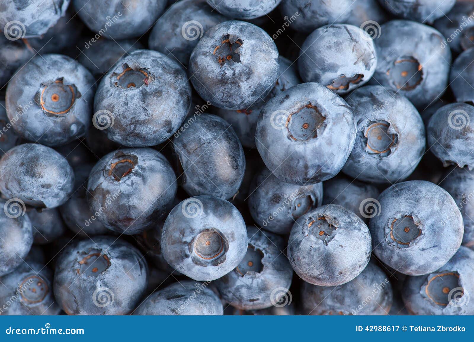 Blueberry Texture Background Stock Images - Download 7,804 Royalty Free ...