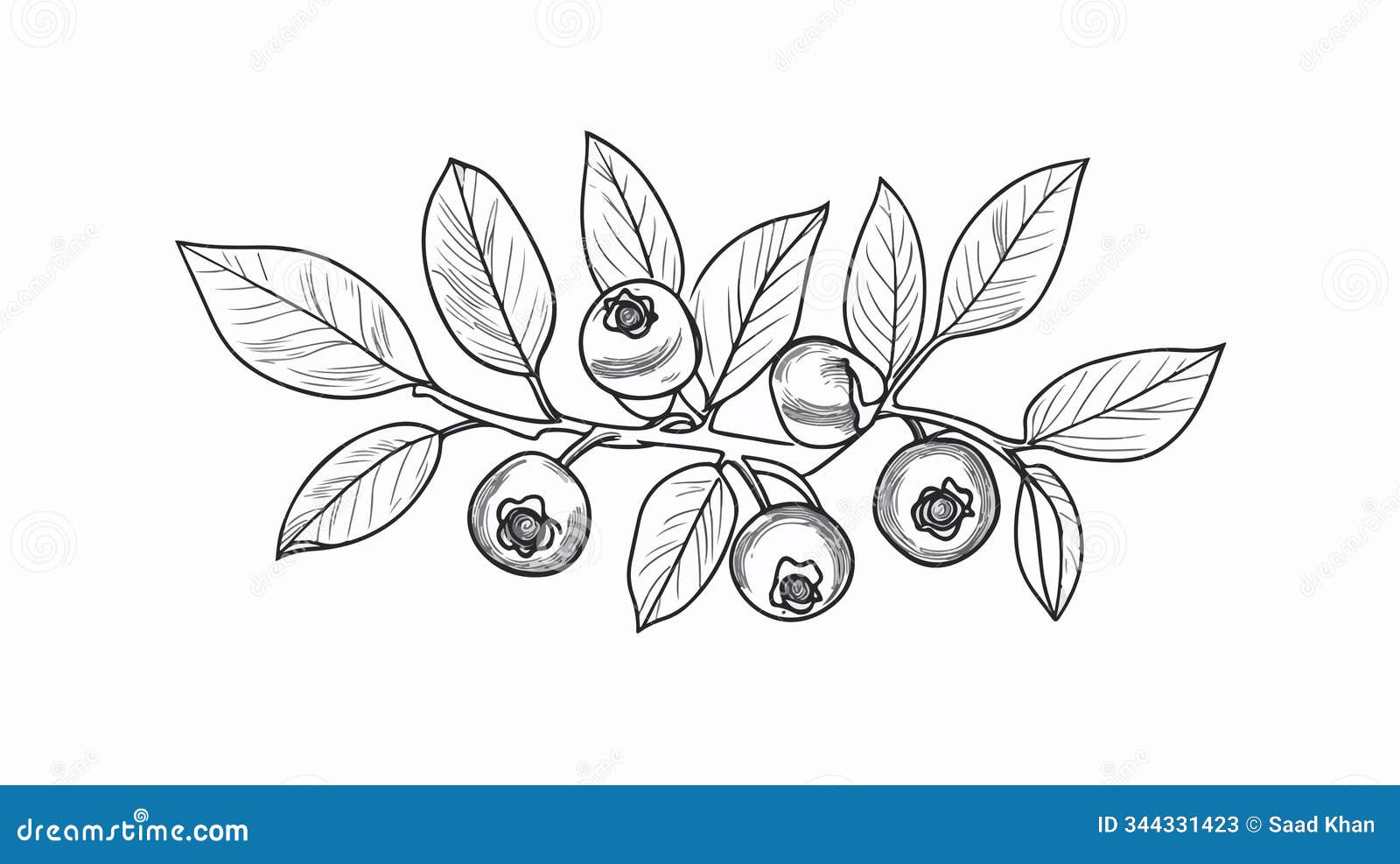 Blueberry Vector One Line Drawing Stock Illustration - Illustration of ...