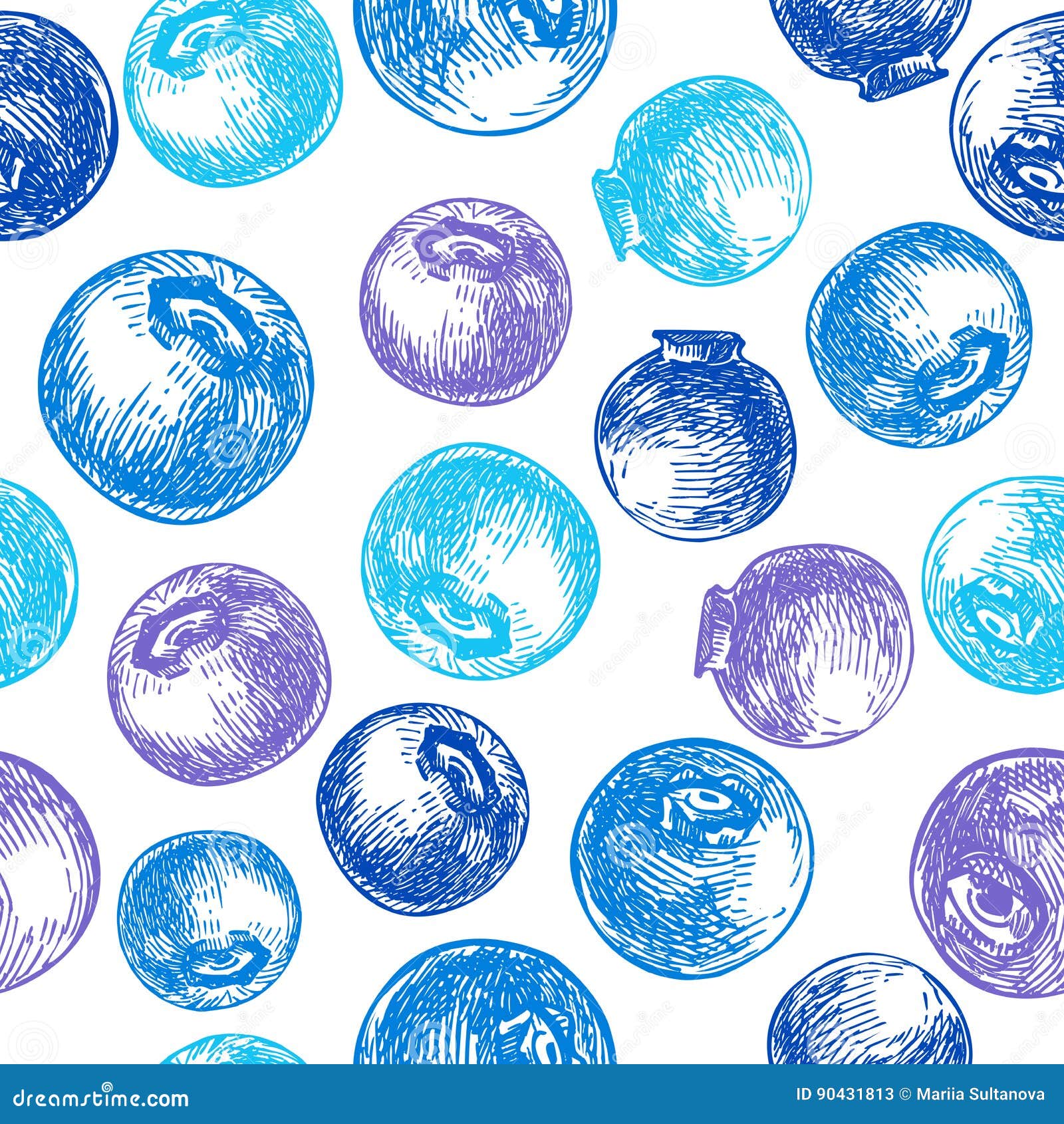 Blueberry Vector Seamless Pattern Drawing. Isolated Hand Drawn B Stock ...