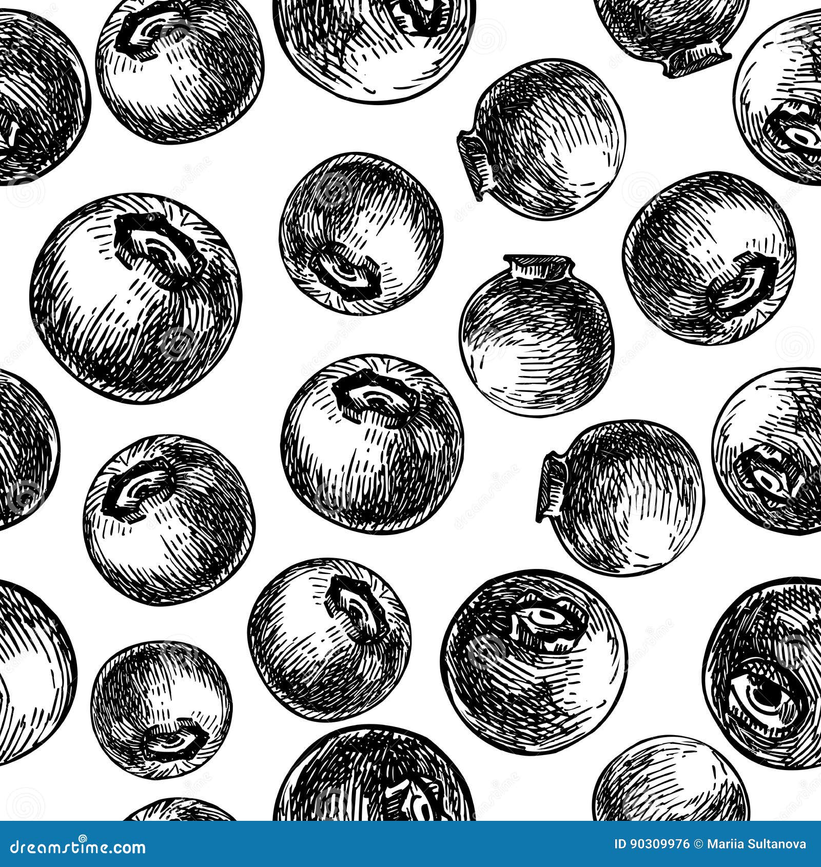 Blueberry Vector Seamless Pattern Drawing. Isolated Hand Drawn Berry ...