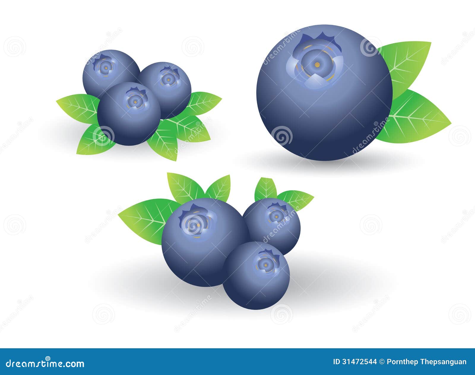 Blueberry Vector. Logo | CartoonDealer.com #103194517