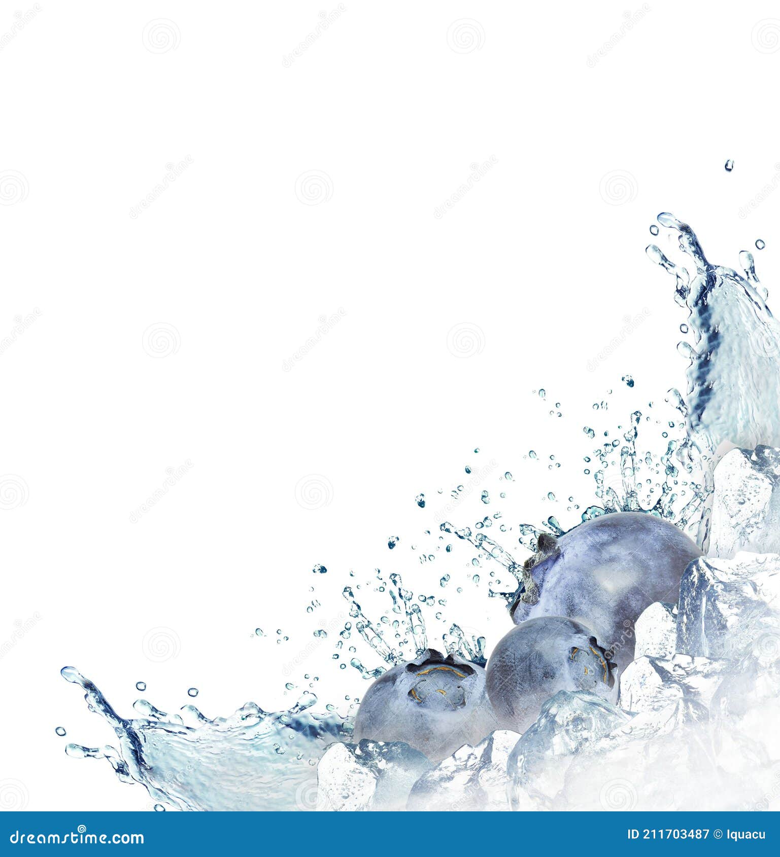 Blueberries splash stock image. Image of collection - 211703487