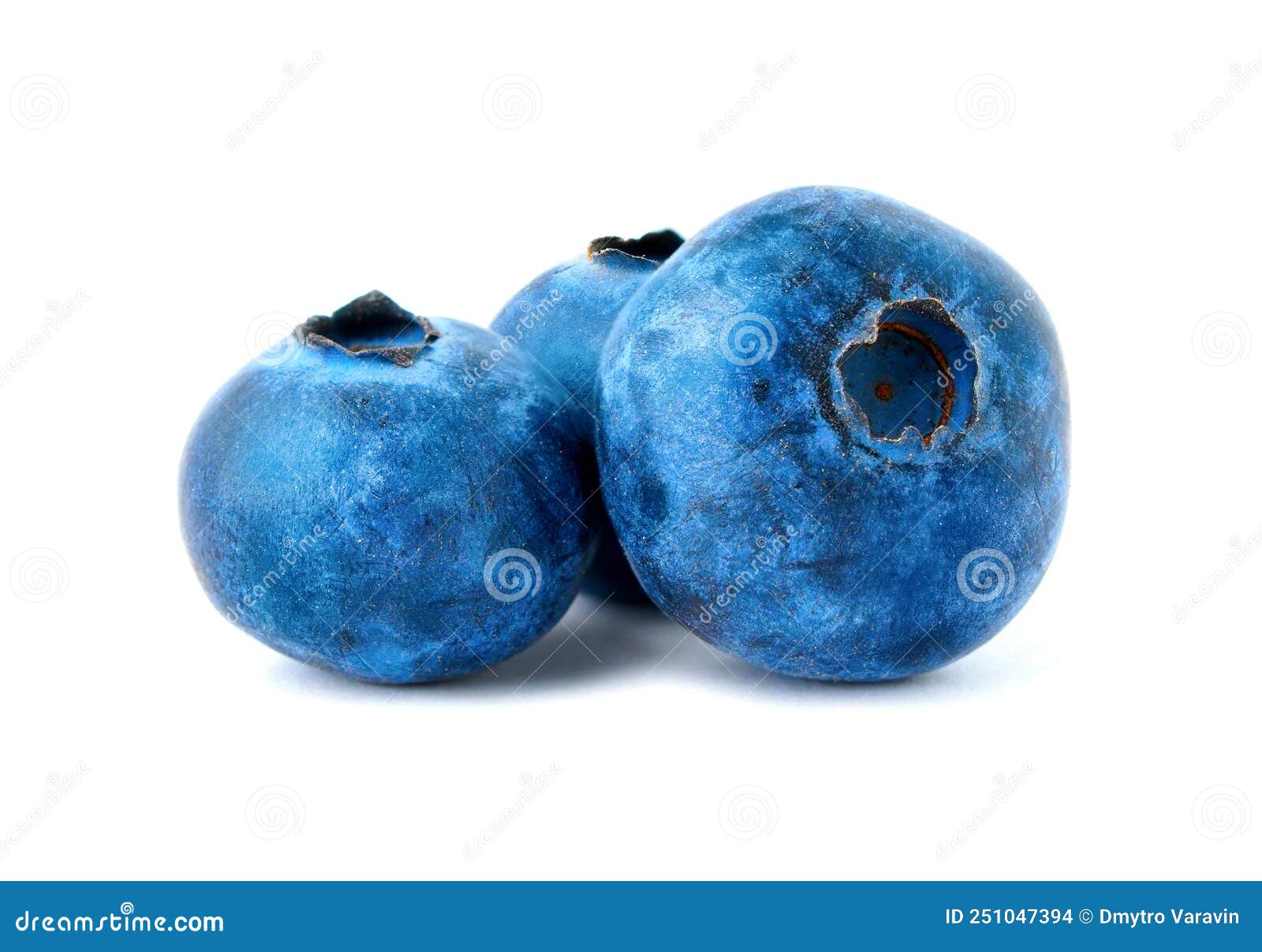 Blueberry on White Background. Stock Photo - Image of harvesting, crop ...