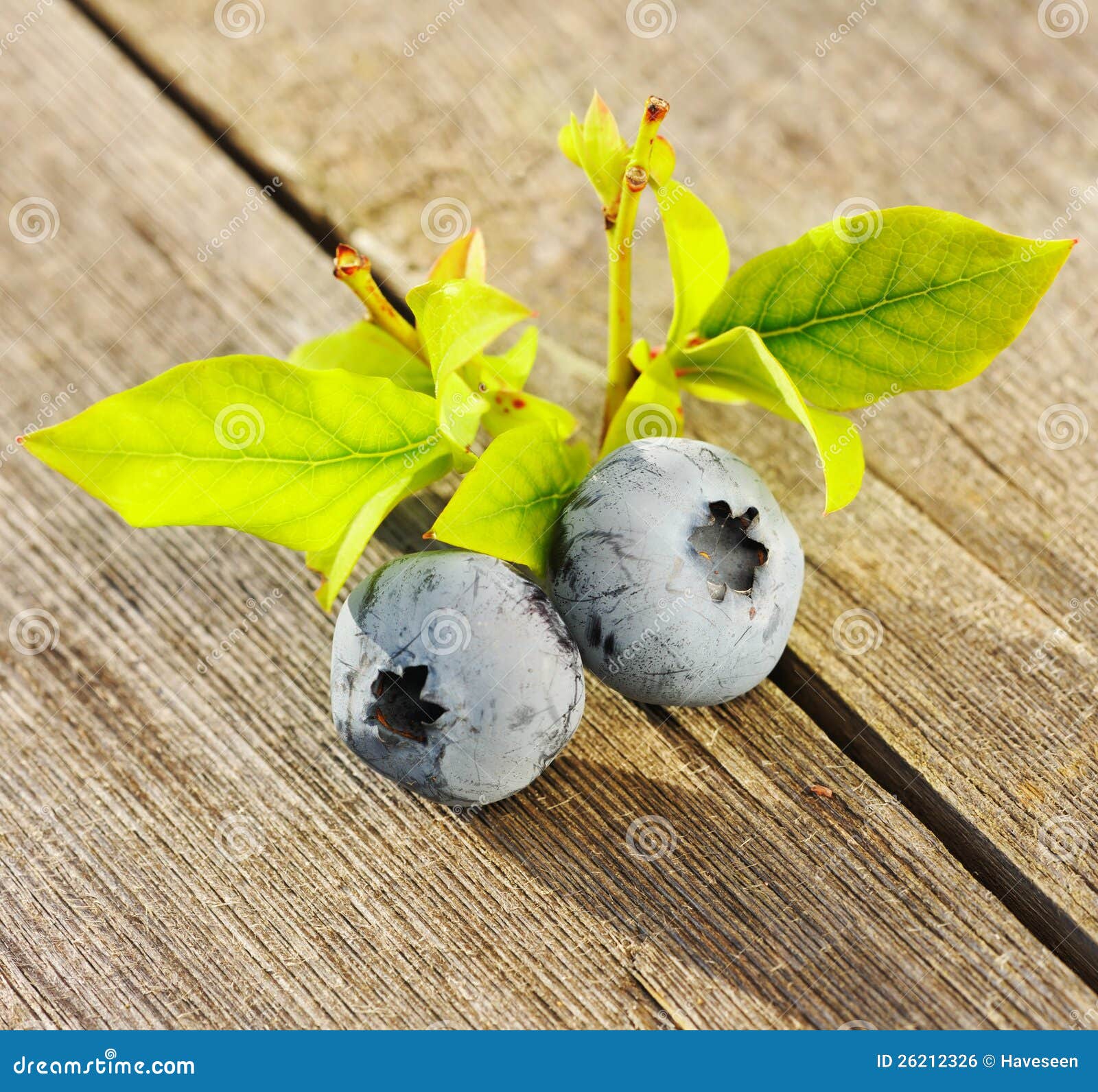Blueberry on wooden table stock photo. Image of leaf - 26212326