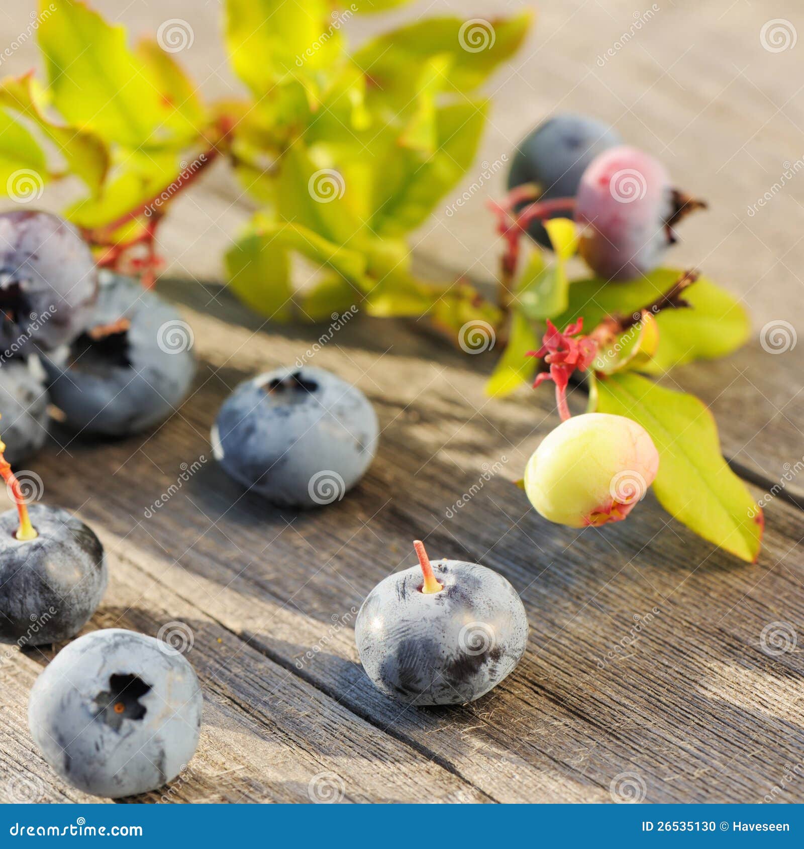 Blueberry on wooden table stock photo. Image of nature - 26535130