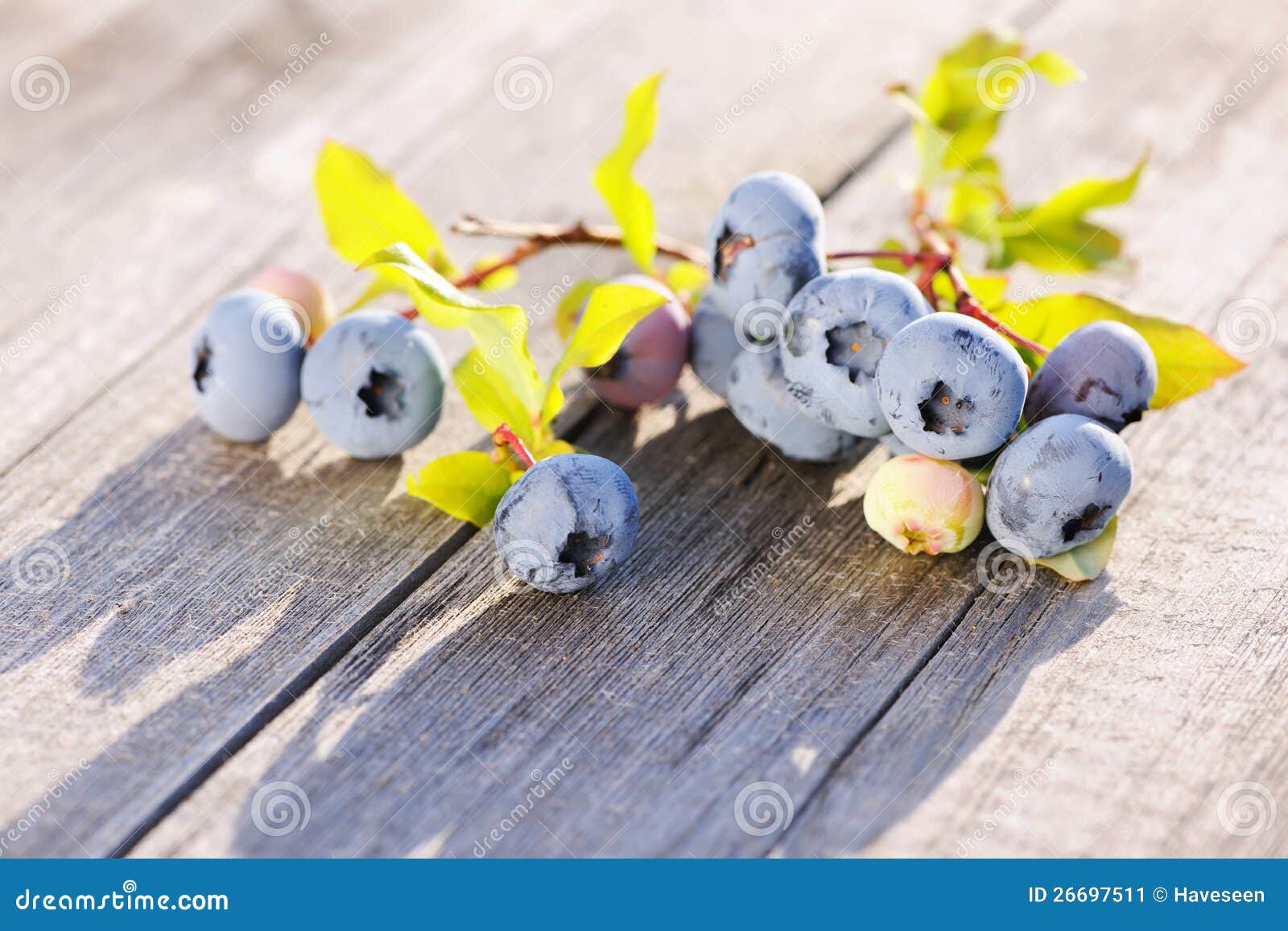 Blueberry on wooden table stock image. Image of leaf - 26697511