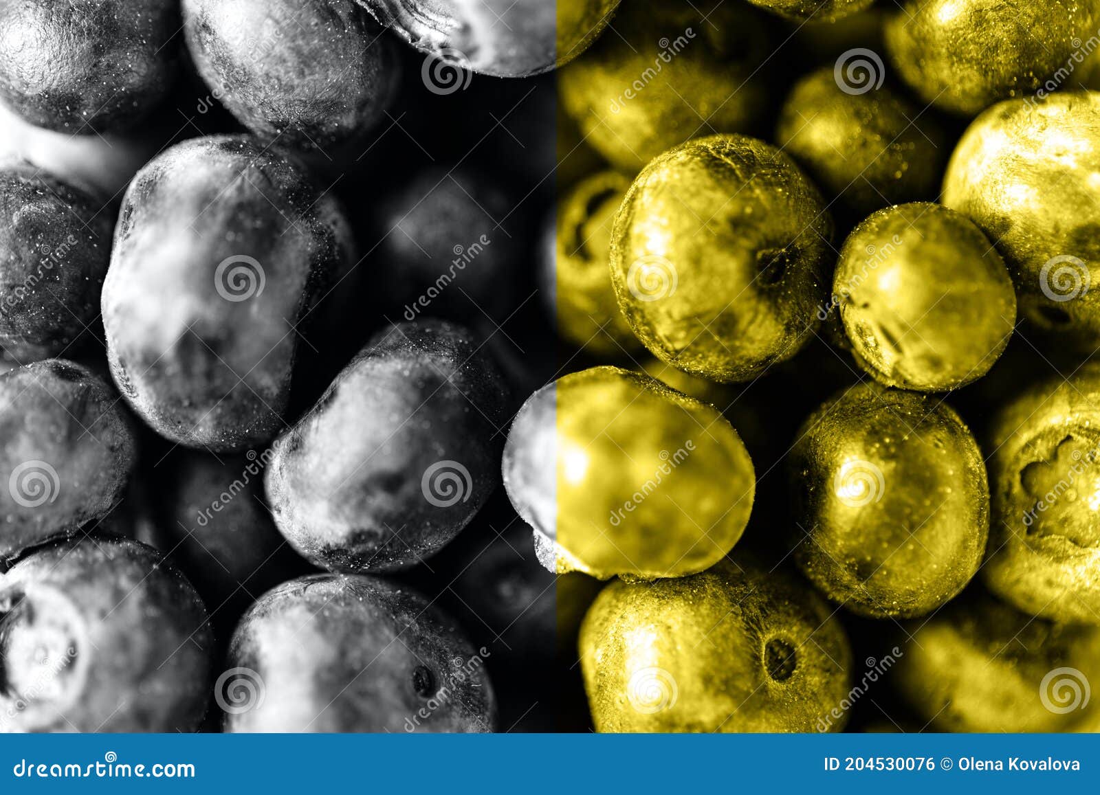 Blueberry Yellow and Gray Close Up Background Stock Photo - Image of ...