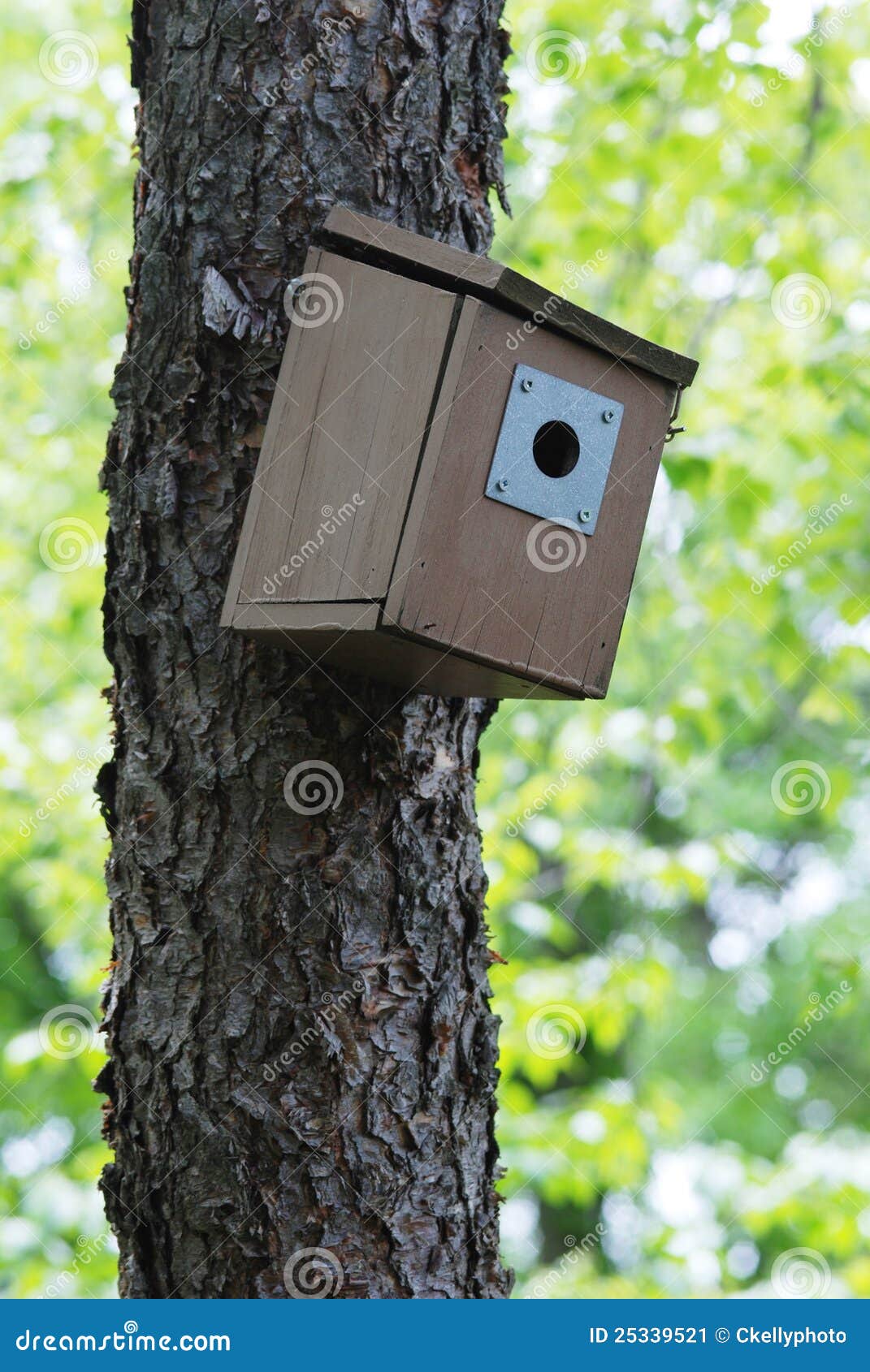 Bluebird box on tree stock image. Image of leaf, conservation - 25339521
