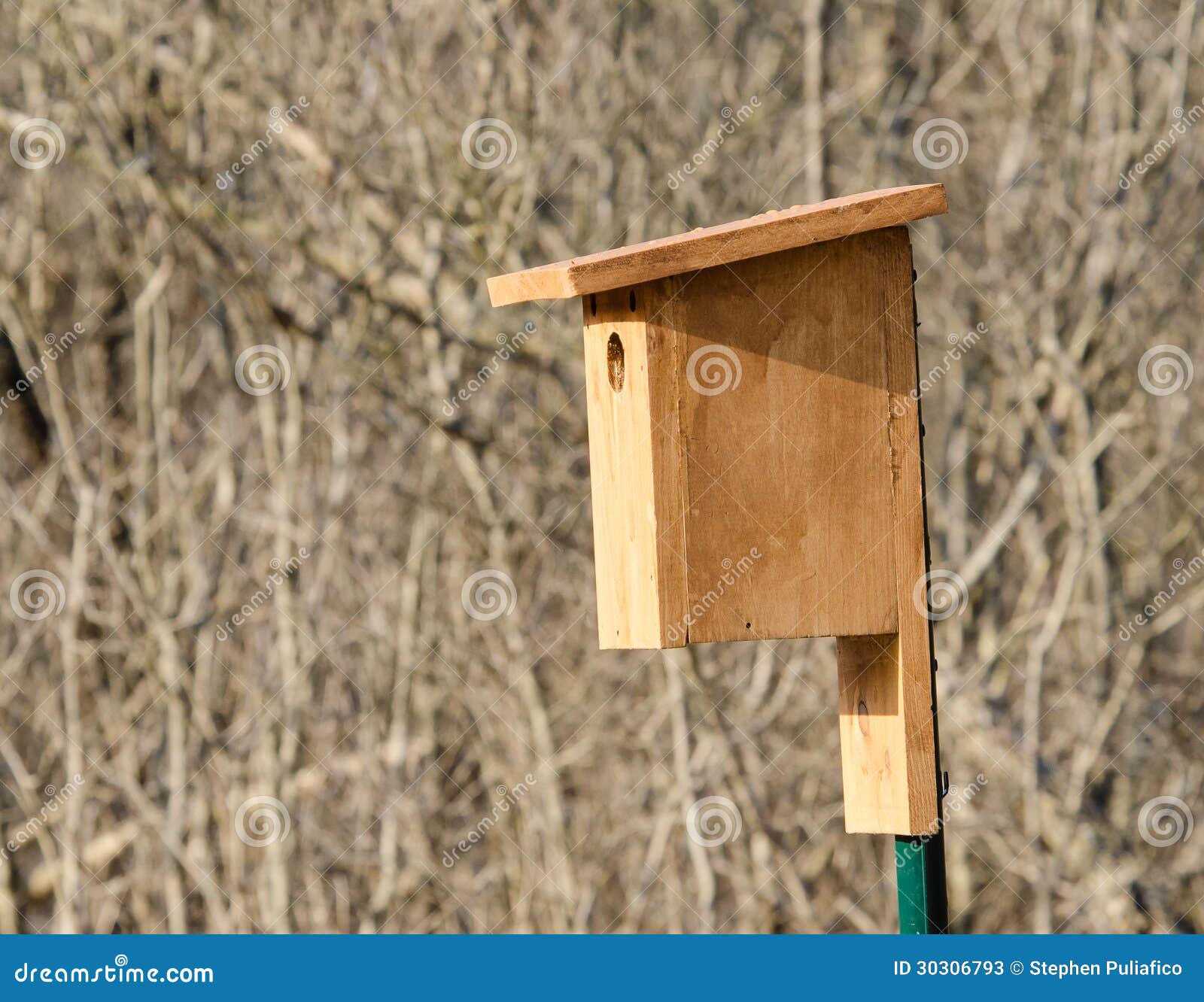 Bluebird Box stock image. Image of ornithology, north - 30306793