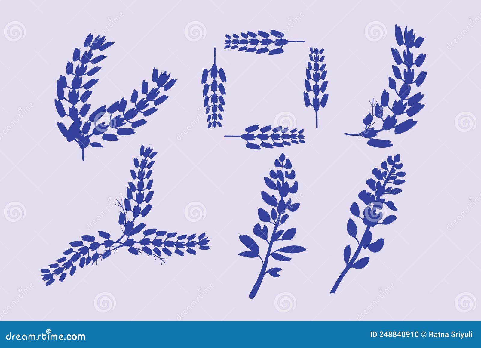 Bluebonnet Design Vector Set Stock Vector - Illustration of blue ...