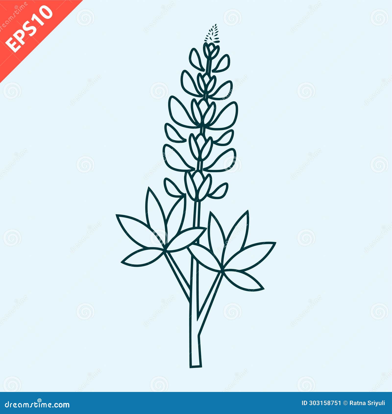 Bluebonnet Vector Flower | CartoonDealer.com #210264816