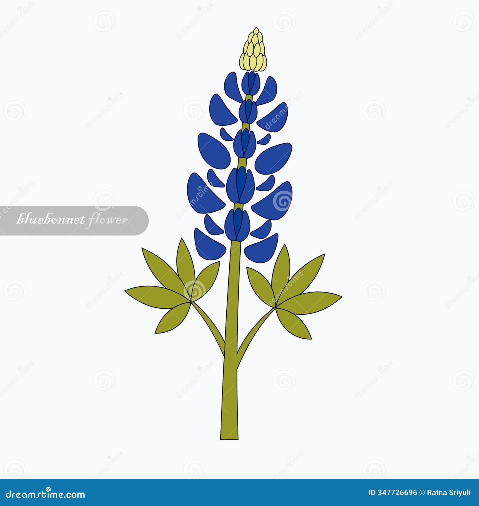 Bluebonnet Flower Design Vector Modern Illustration Stock Illustration ...