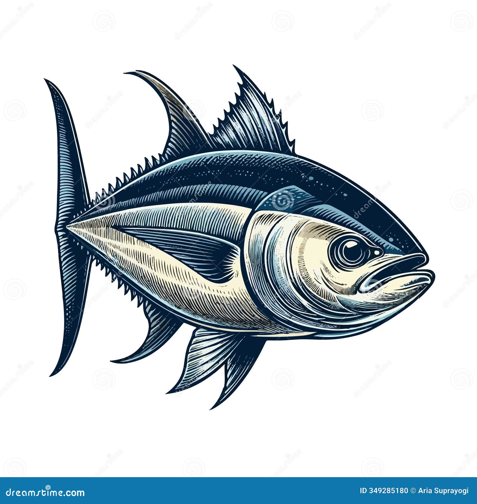 Bluefin Tuna Hand Drawn Vector Illustration Stock Illustration ...