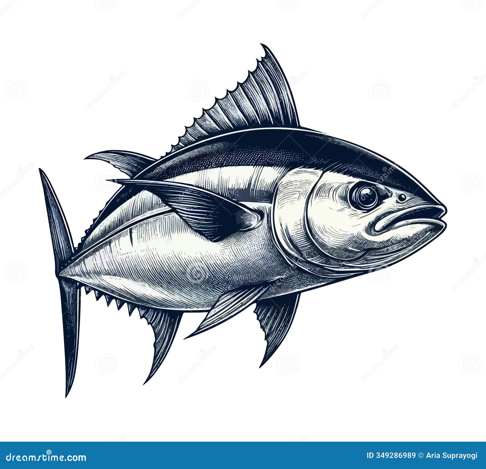 Bluefin Tuna Hand Drawn Vector Illustration Stock Illustration ...