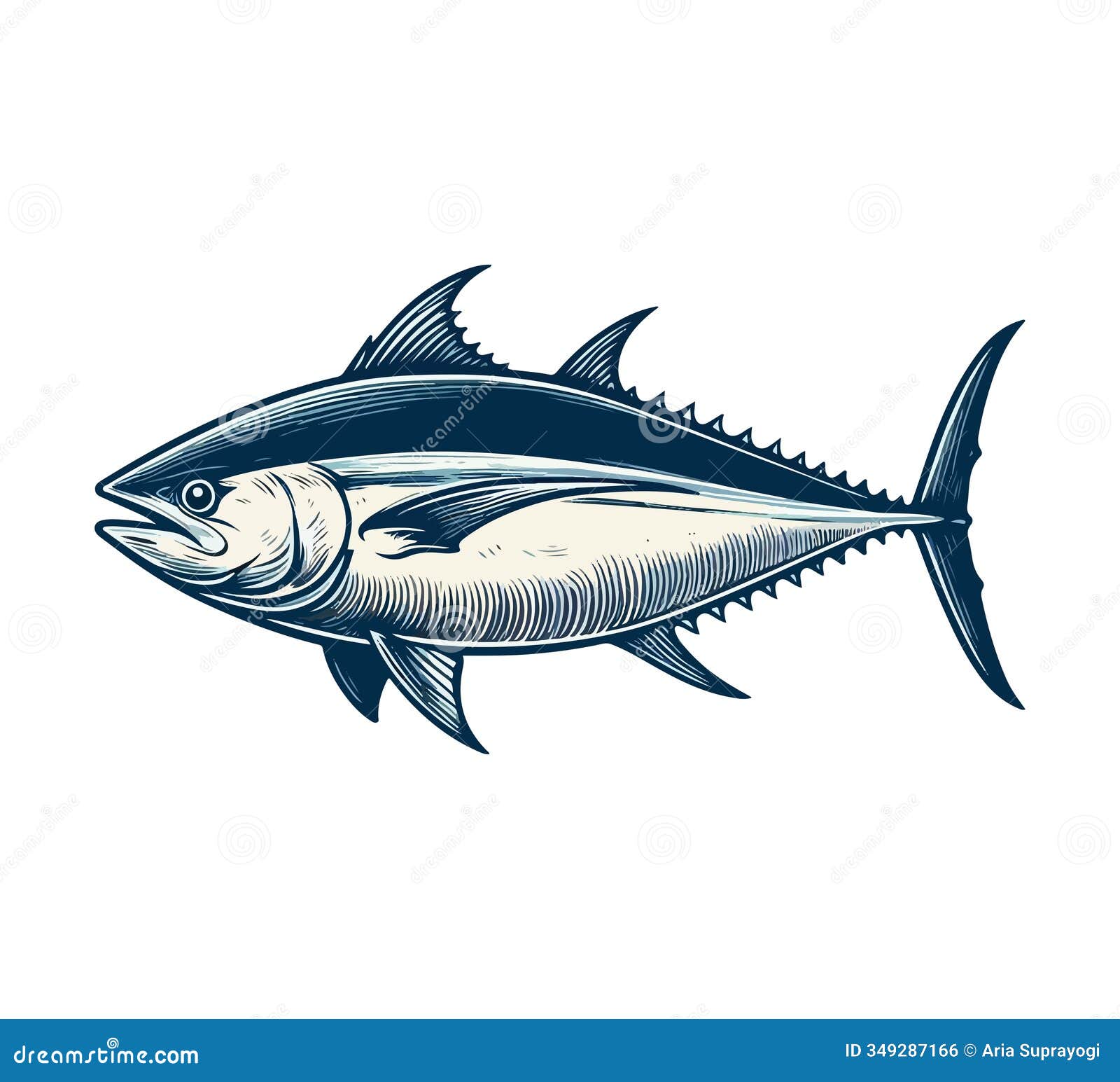 Bluefin Tuna Hand Drawn Vector Illustration Stock Illustration ...