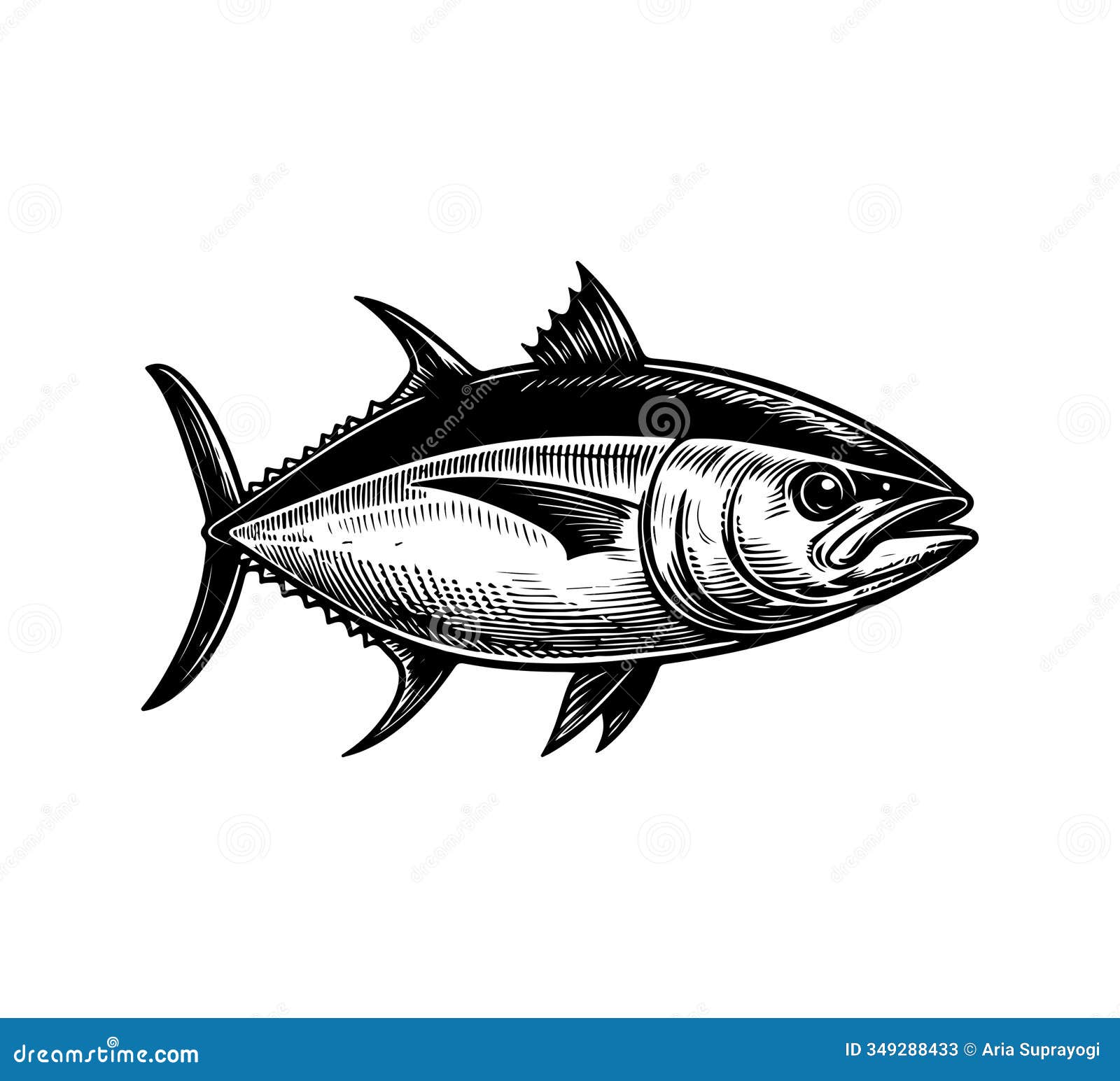 Bluefin Tuna Hand Drawn Vector Illustration Stock Illustration ...