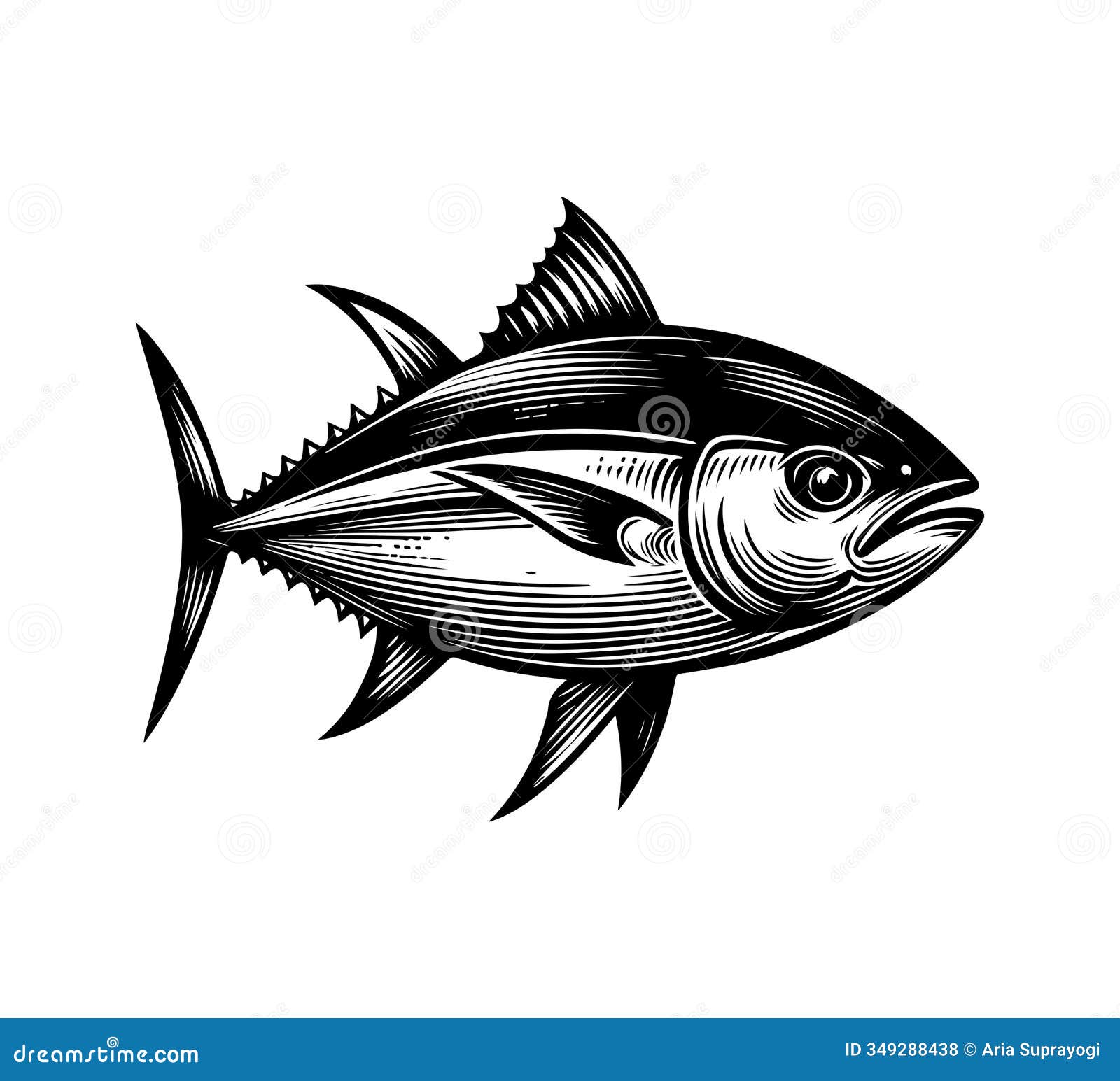 Bluefin Tuna Hand Drawn Vector Illustration Stock Illustration ...