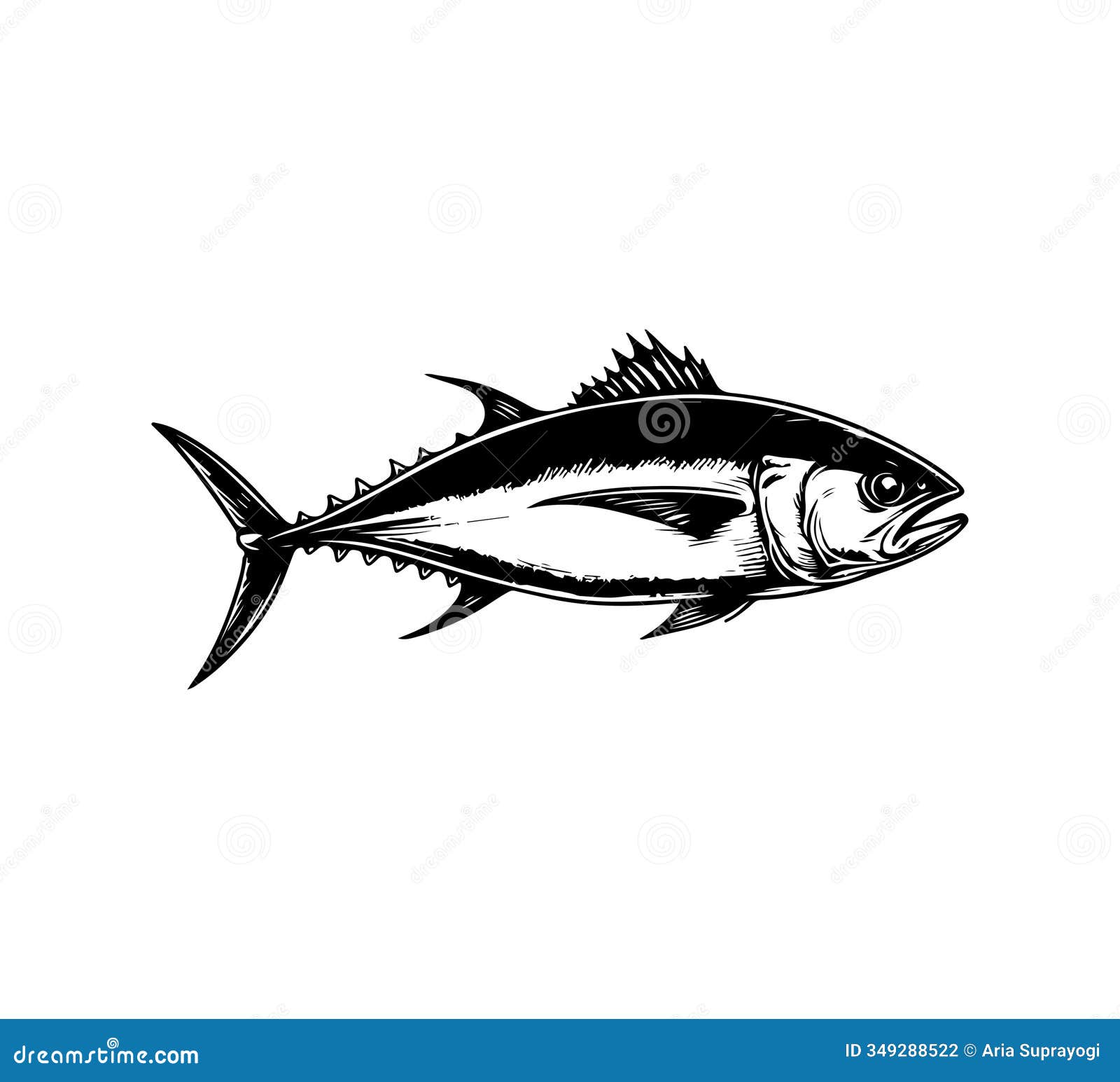 Bluefin Tuna Hand Drawn Vector Illustration Stock Illustration ...