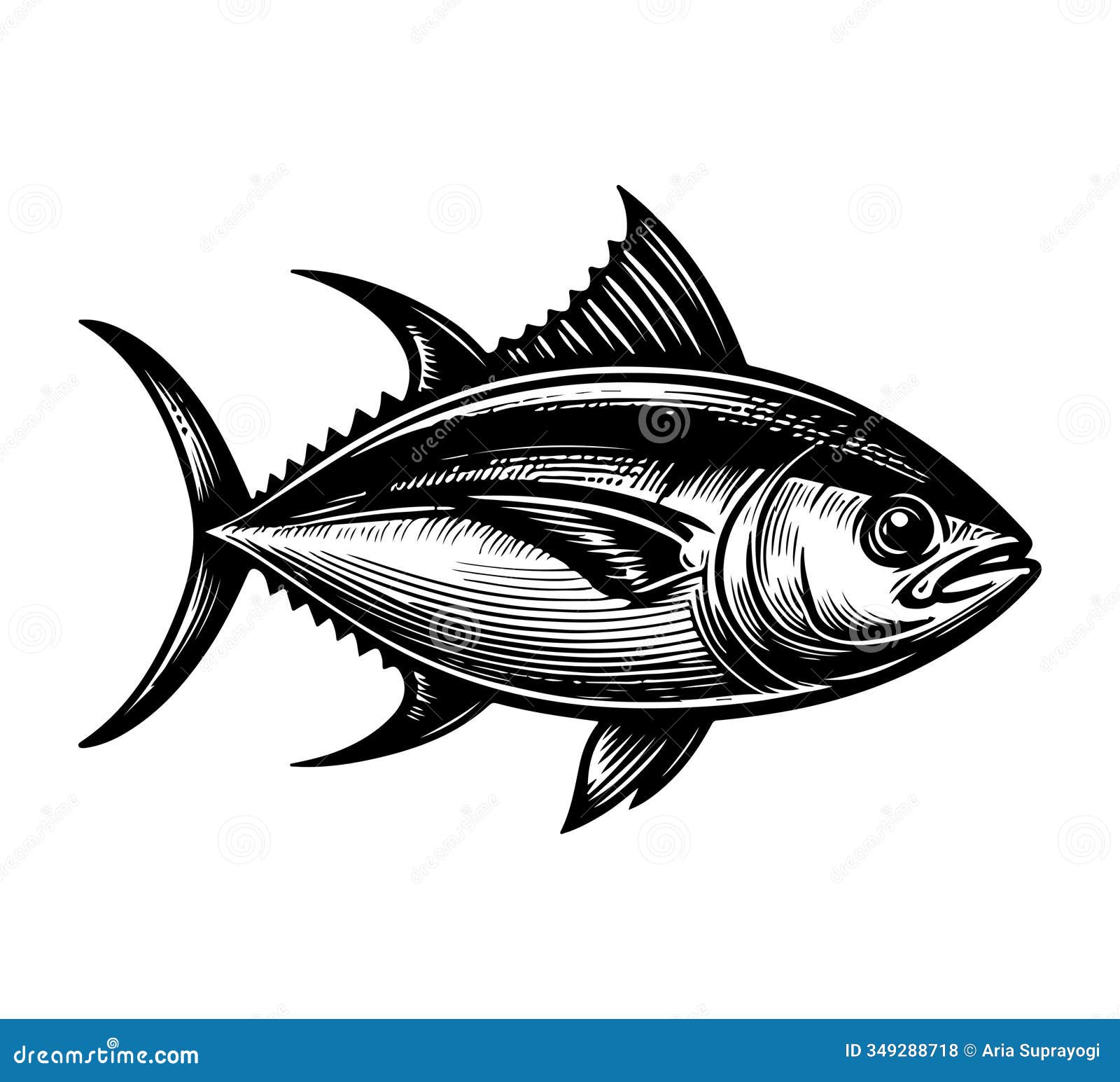 Bluefin Tuna Hand Drawn Vector Illustration Stock Illustration ...