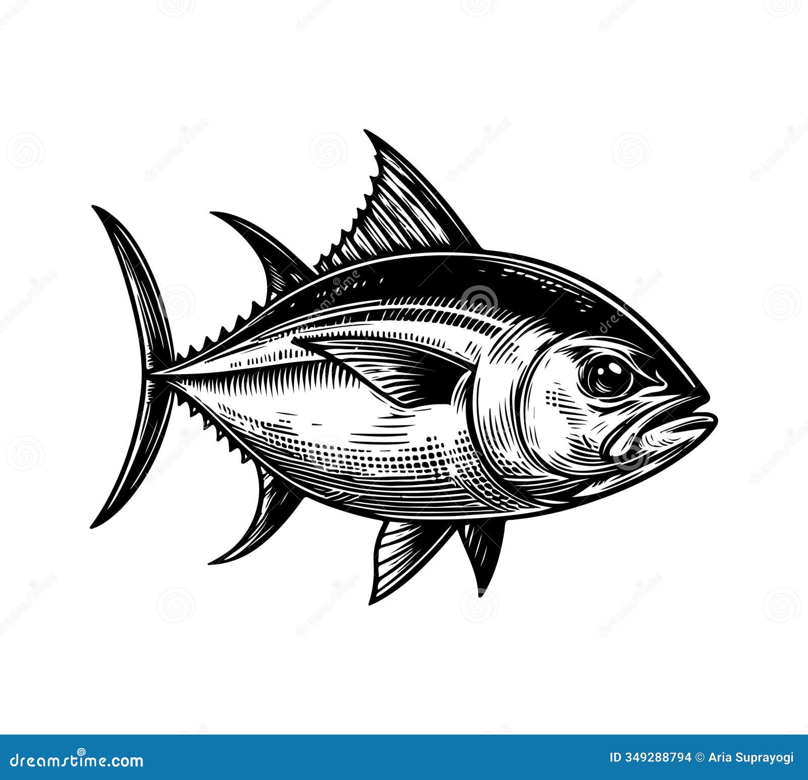 Bluefin Tuna Hand Drawn Vector Illustration Stock Illustration ...