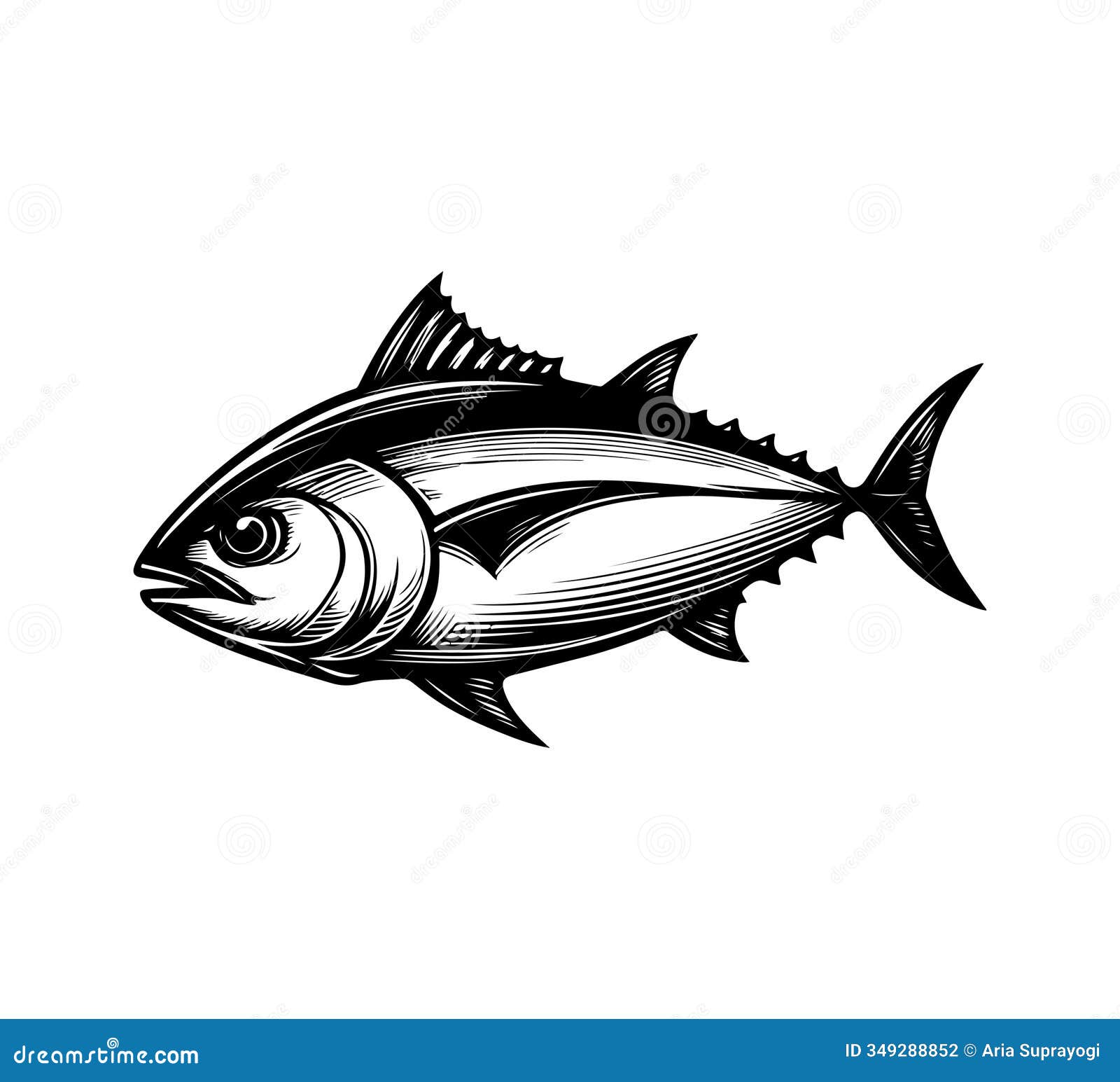 Bluefin Tuna Hand Drawn Vector Illustration Stock Illustration ...