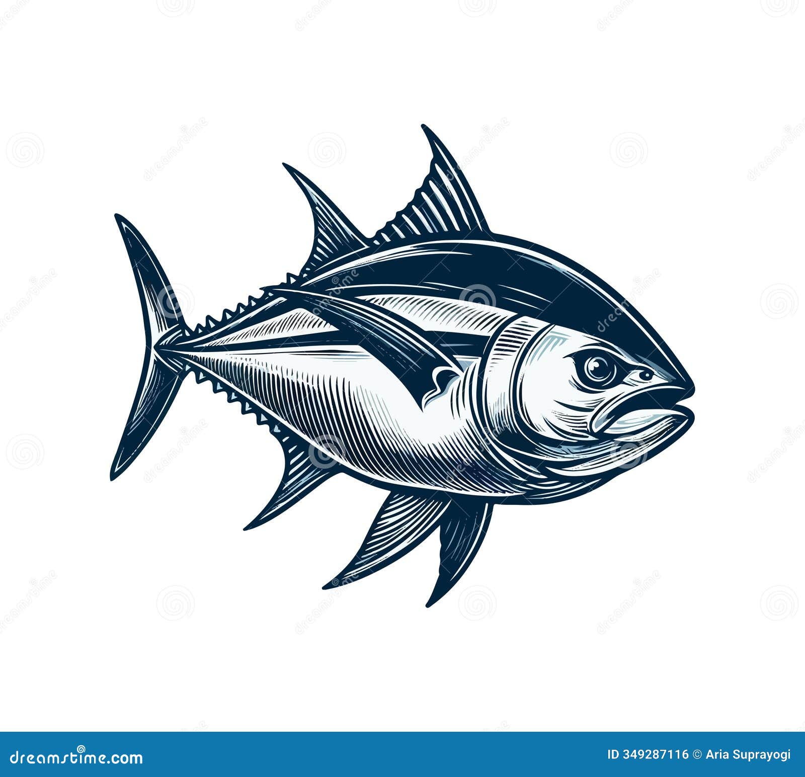 Bluefin Tuna Hand Drawn Vector Illustration Stock Vector - Illustration ... Bluefin Tuna Hand Drawn Vector Illustration Stock Vector - Illustration ...