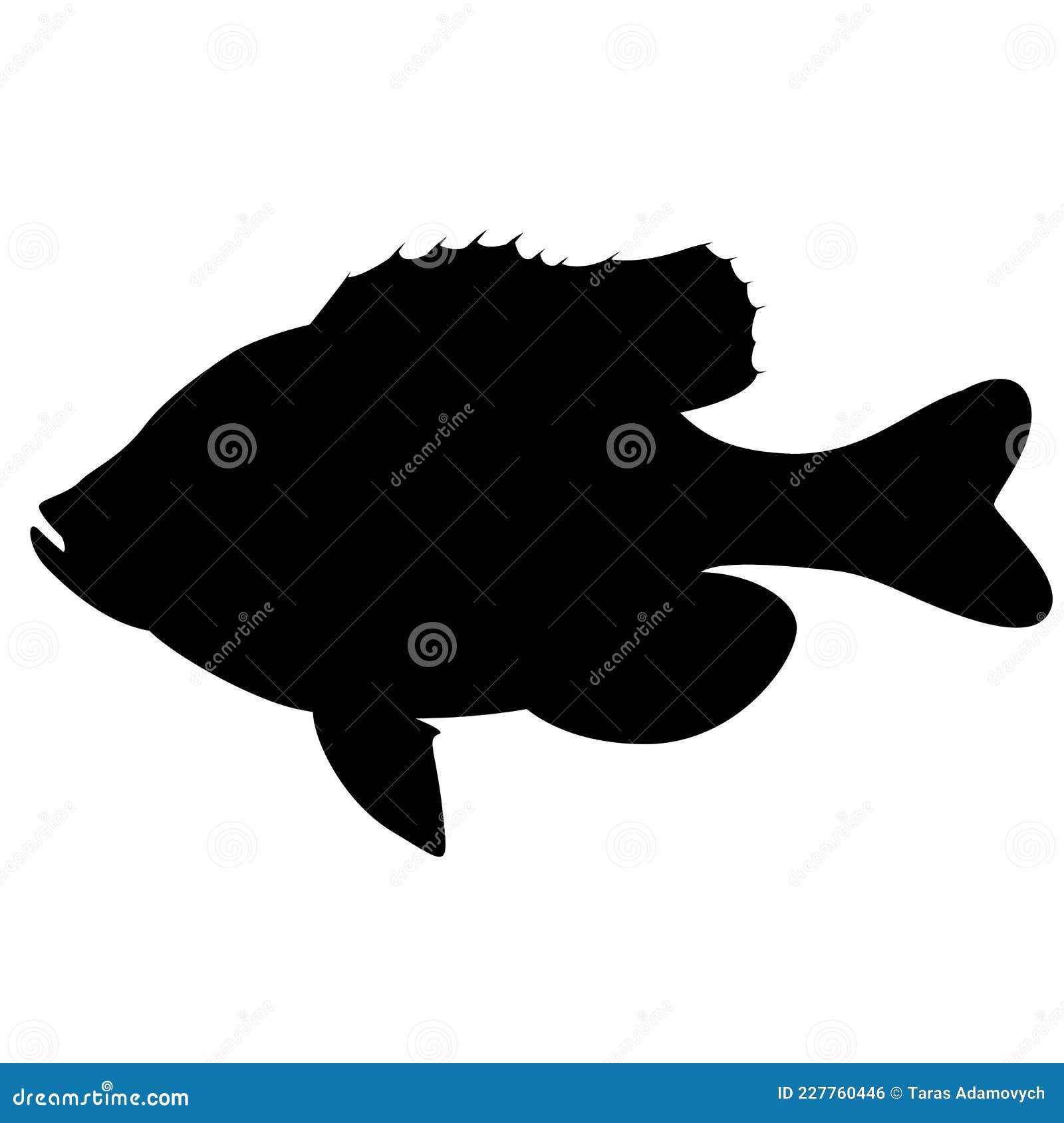 Bluegill Fish, Vector Illustration, Lining Draw, Side | CartoonDealer ...