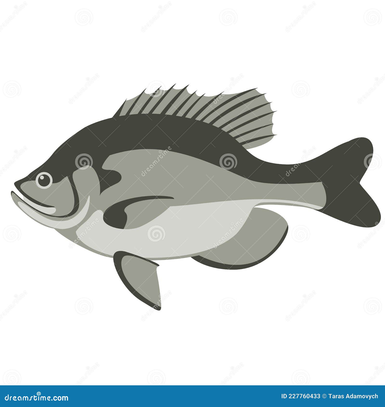 Bluegill Fish, Vector Illustration, Flat Style, Side Stock Vector ...