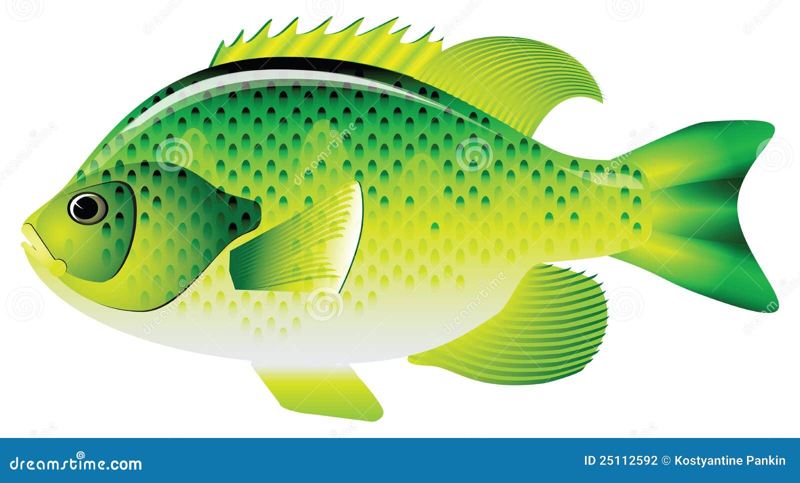 Bluegill Cartoons, Illustrations & Vector Stock Images - 208 Pictures ...