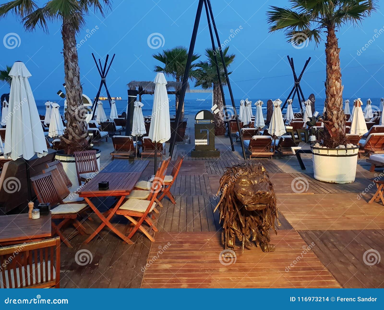 Beach bar night editorial stock image. Image of bluelight - 116973214