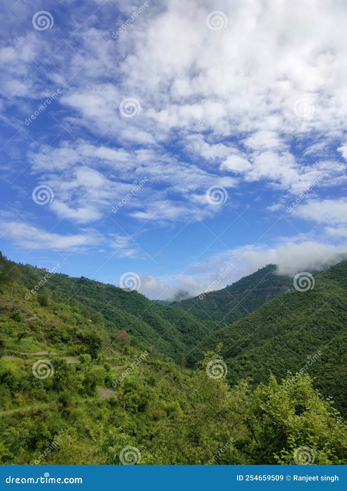 Bluesky Green Tree Fog Mountain Stock Image - Image of valley ...
