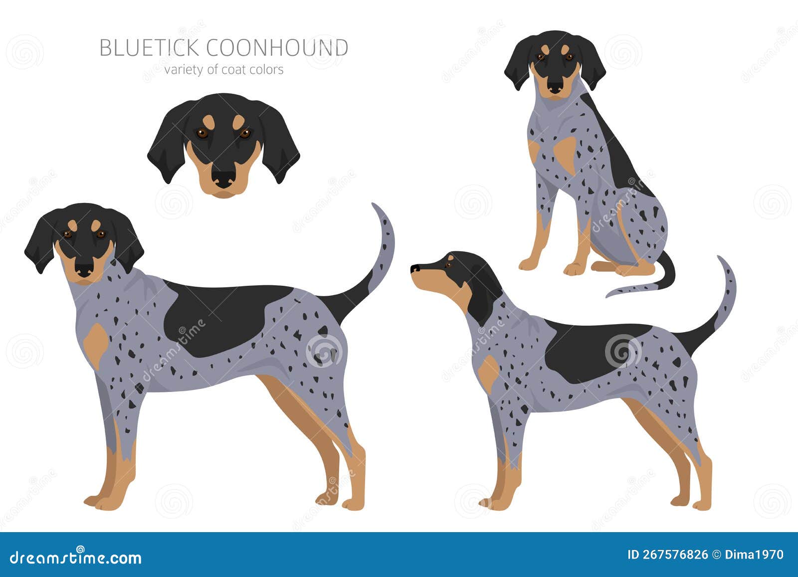 Are Bluetick Coonhounds Healthy