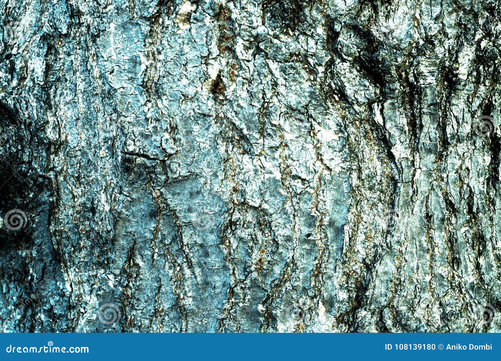 Bluish bark for background stock photo. Image of surface - 108139180