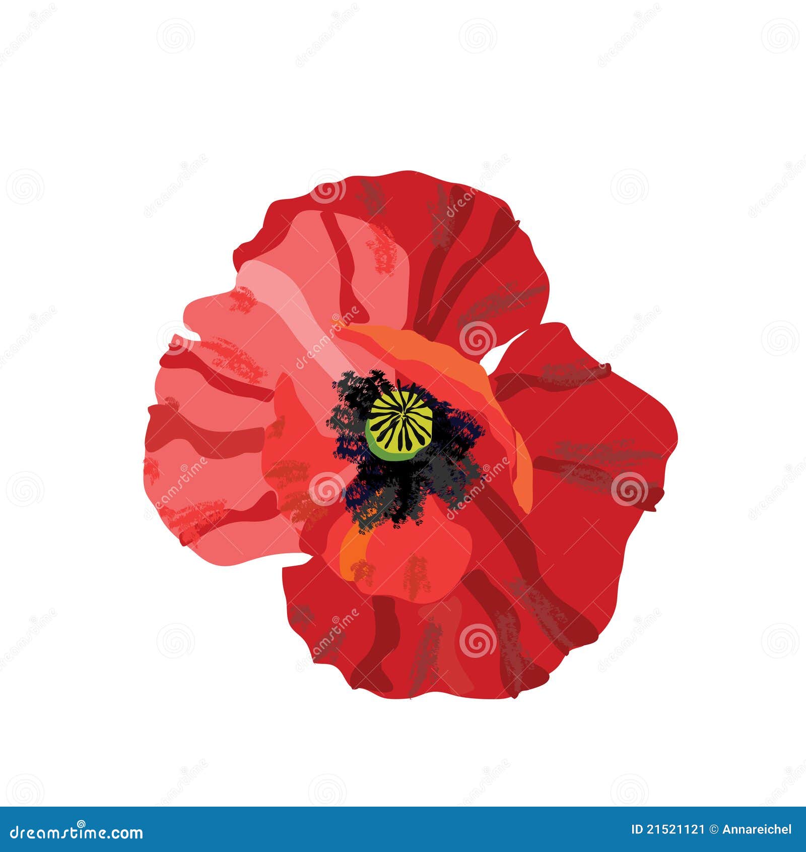 Blume der Mohnblume vektor abbildung. Illustration von schwarzes - 21521121