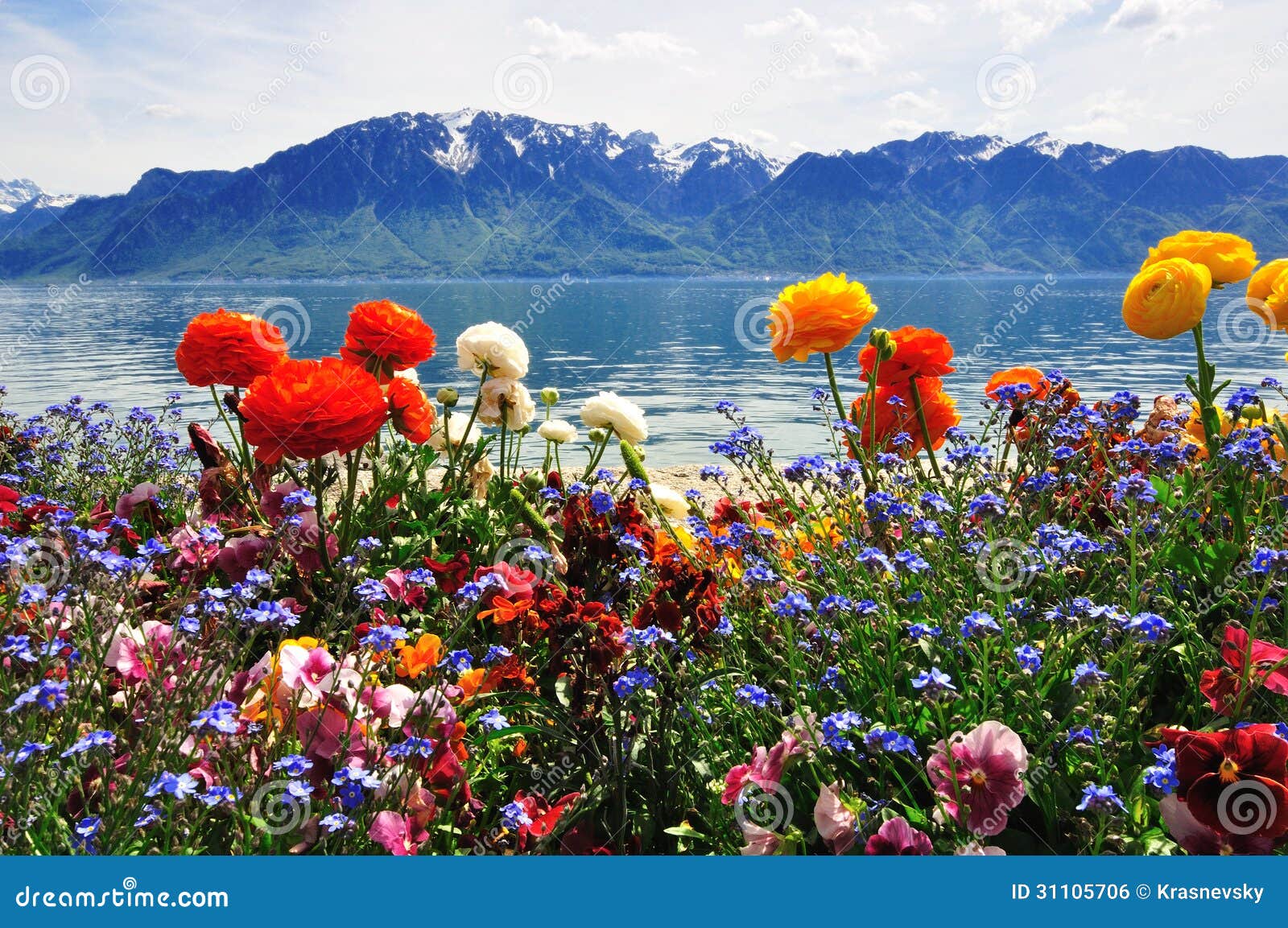 Blumen, Berg-ald See stockfoto. Bild von blumen, idyllisch - 31105706