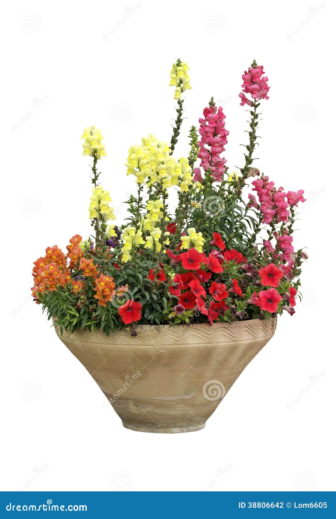 Blumen in einem Topf stockfoto. Bild von weinlese, atmosphäre - 38806642