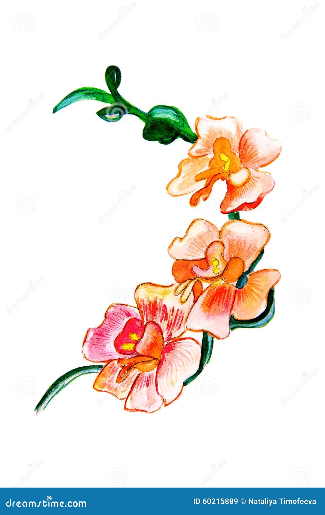 Blumen Gemalt Mit Aquarellen Stock Abbildung - Illustration von graphik ...