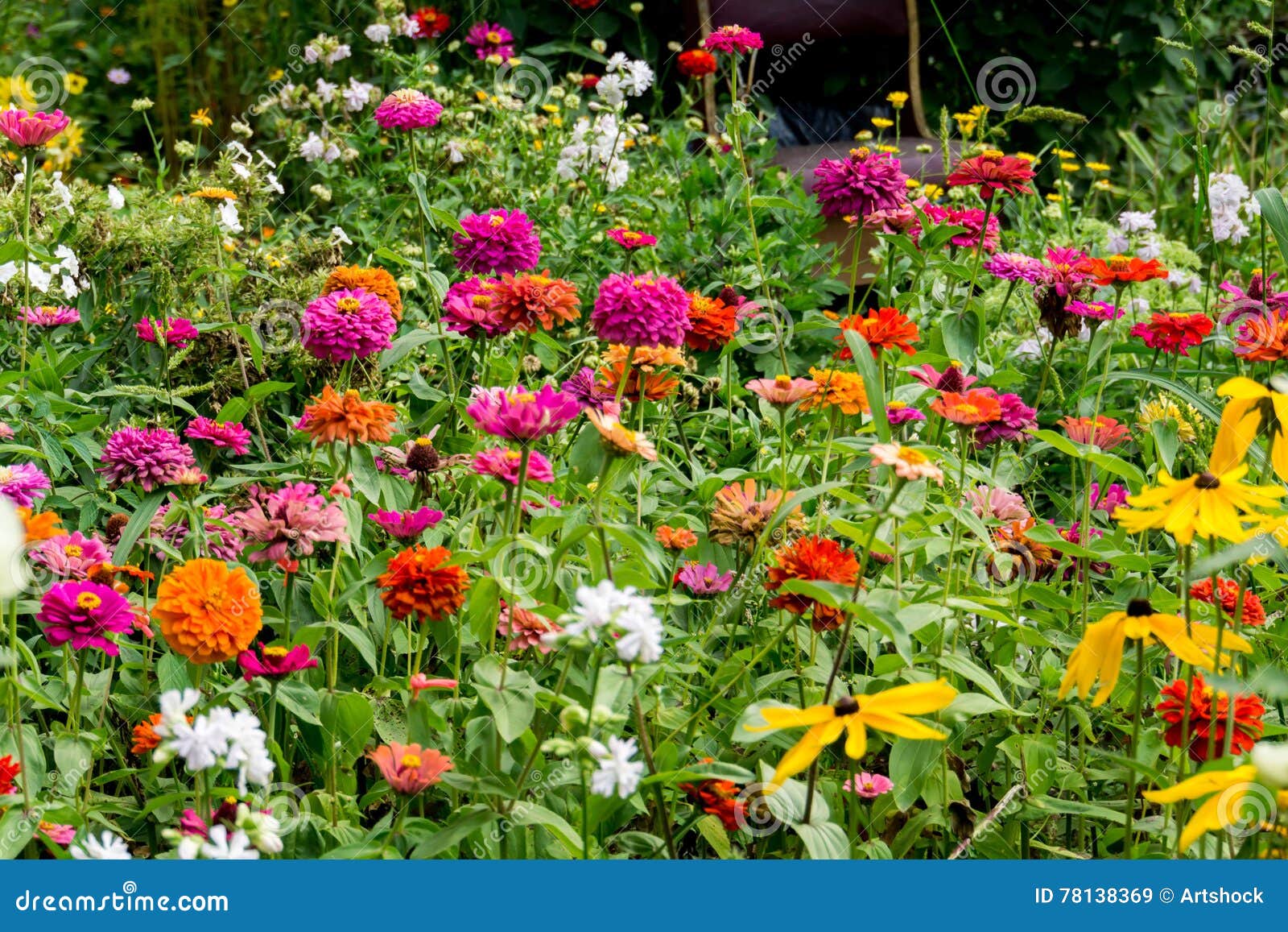 Blumen im Garten stockbild. Bild von vielzahl, grün, botanik - 78138369