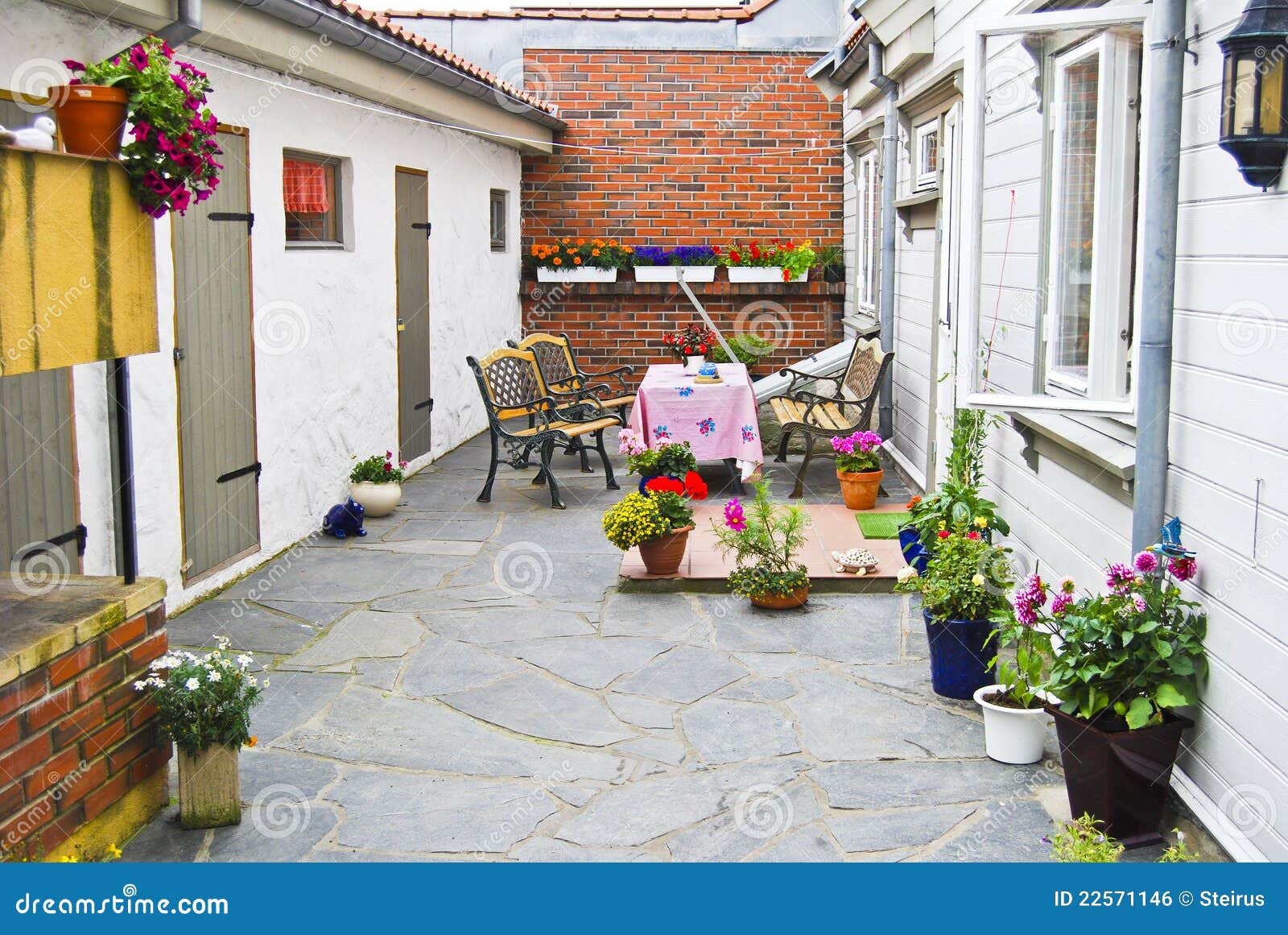 Blumen im Hinterhof stockfoto. Bild von blume, ziegelstein - 22571146