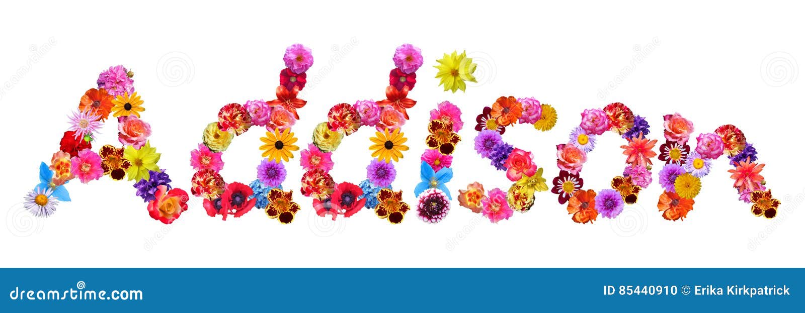 Blumen-Name Addison stock abbildung. Illustration von farbe - 85440910