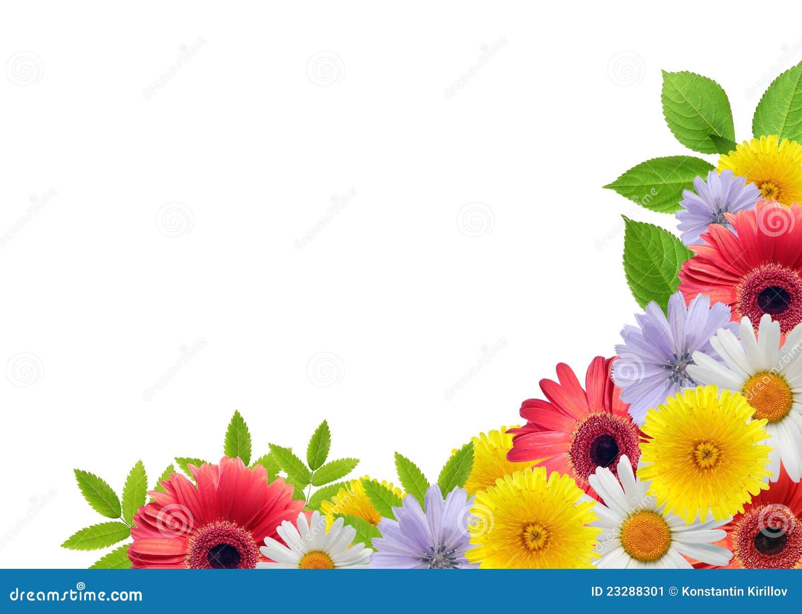 Blumen-Rand stockbild. Bild von mehrfarbig, nave, rand - 23288301
