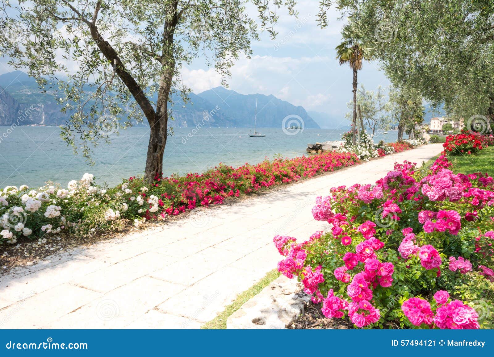 Blumen am See Garda stockbild. Bild von italien, blume - 57494121