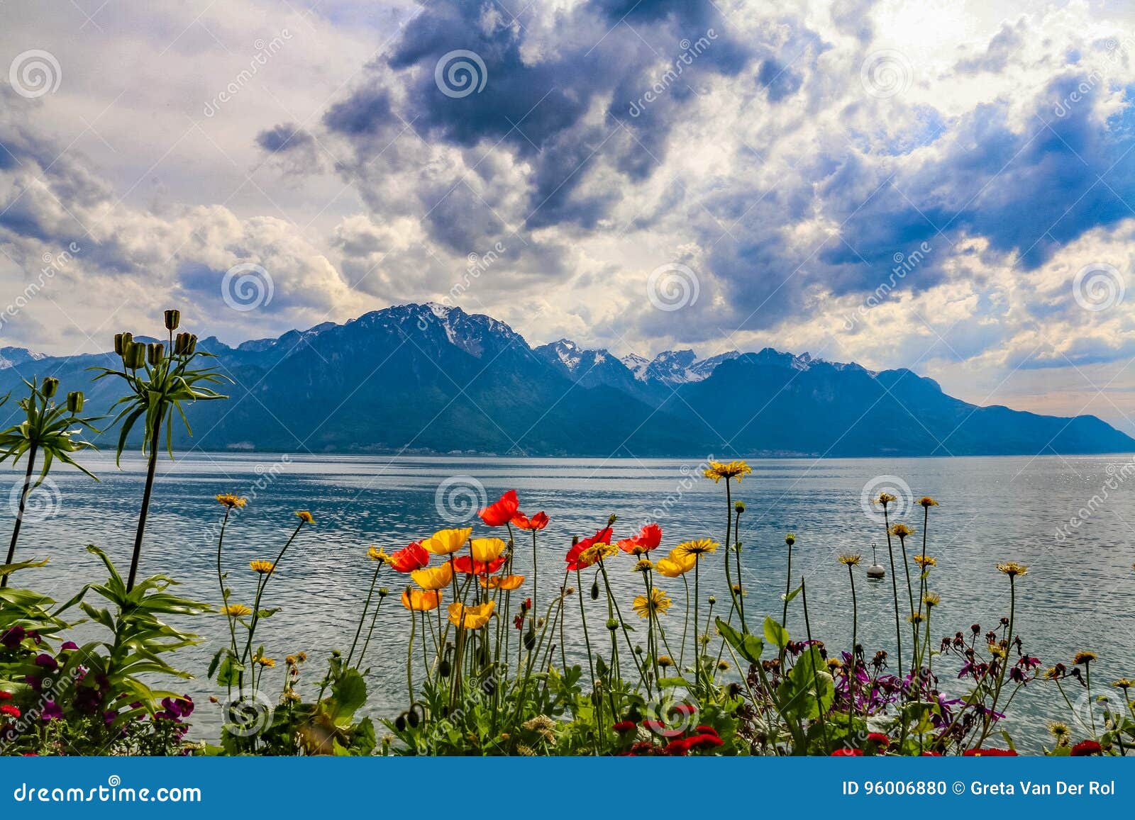 Blumen und See Genf stockfoto. Bild von wasser, frühling - 96006880