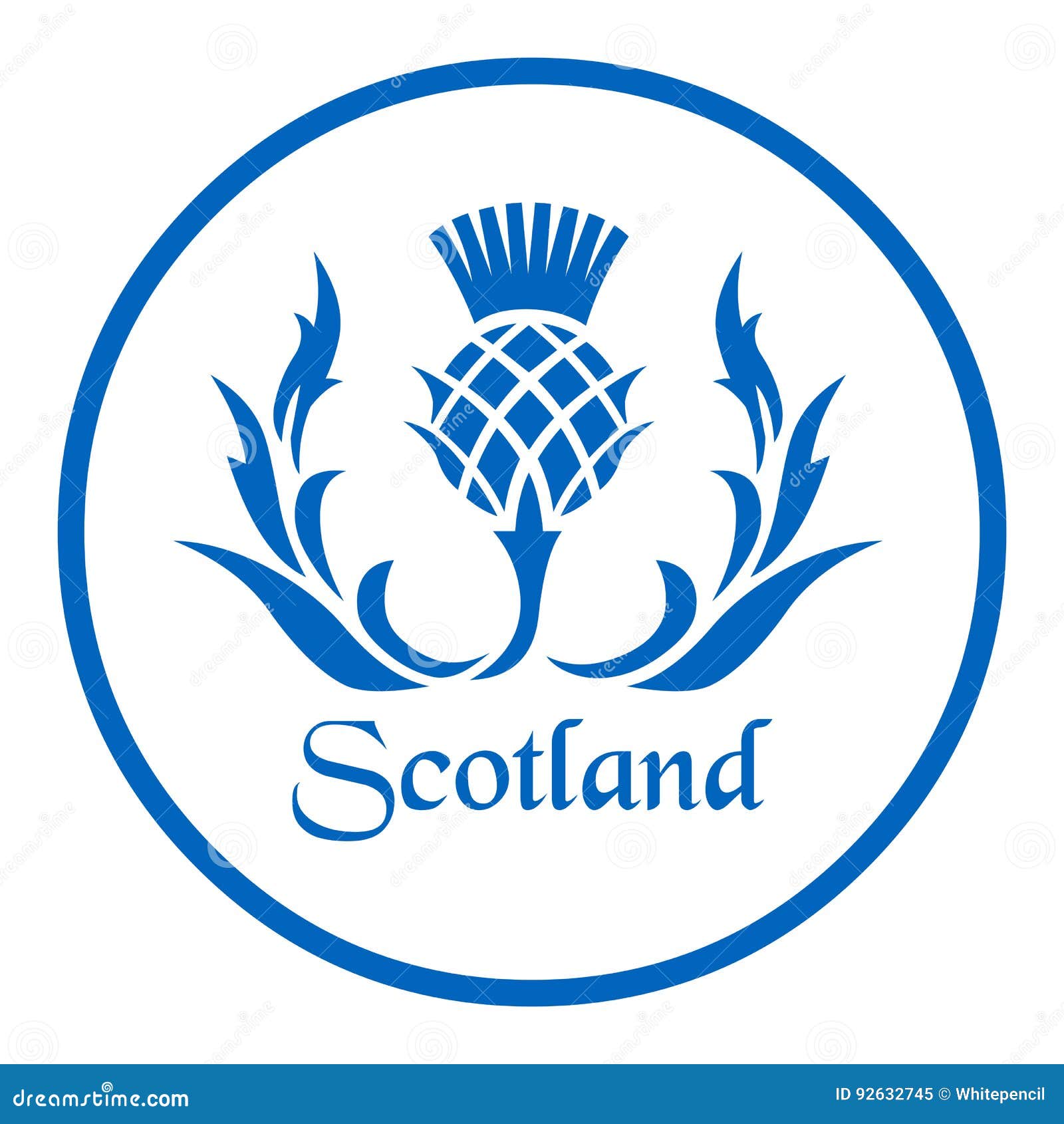 Blumenemblem Von Schottland, Die Distel Vektor Abbildung - Illustration ...